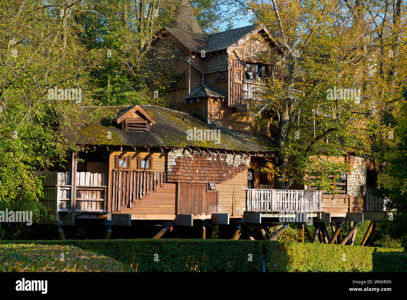 Treehouse built around oak trees Alnwick Castle Northhumberland UK ...