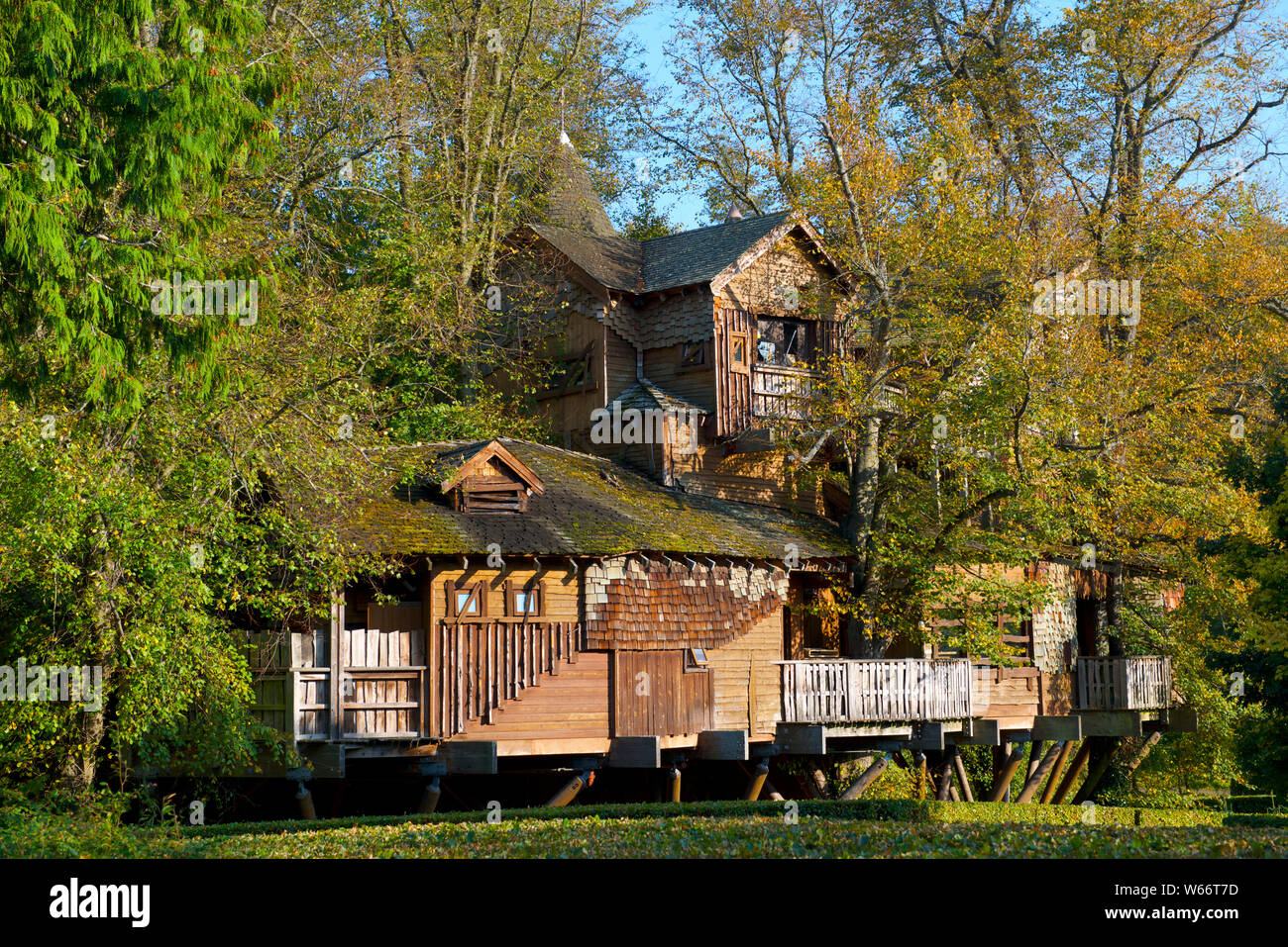 Treehouse built around oak trees Alnwick Castle Northhumberland UK ...