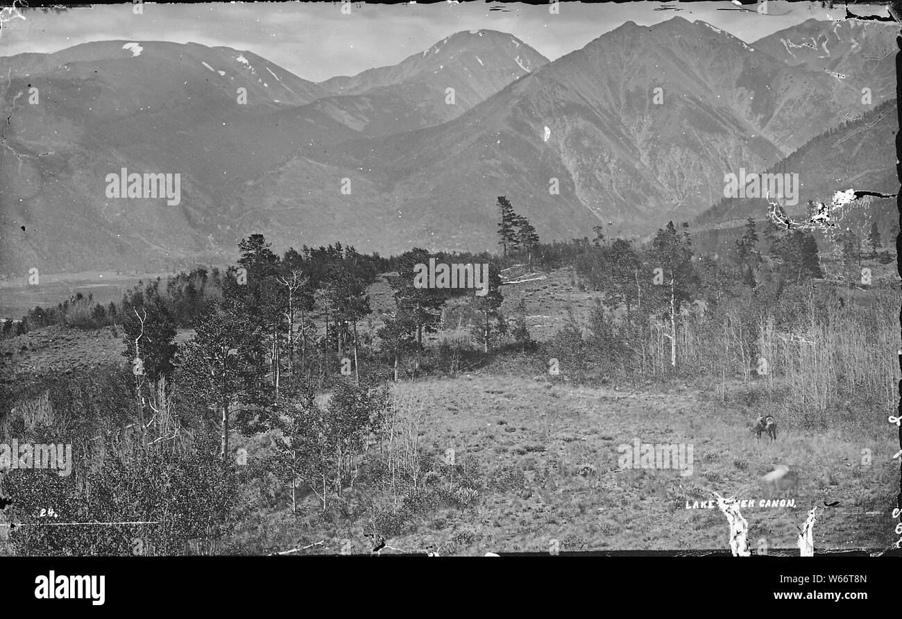 Lake Creek Canyon. Lake County, Colorado Stock Photo - Alamy