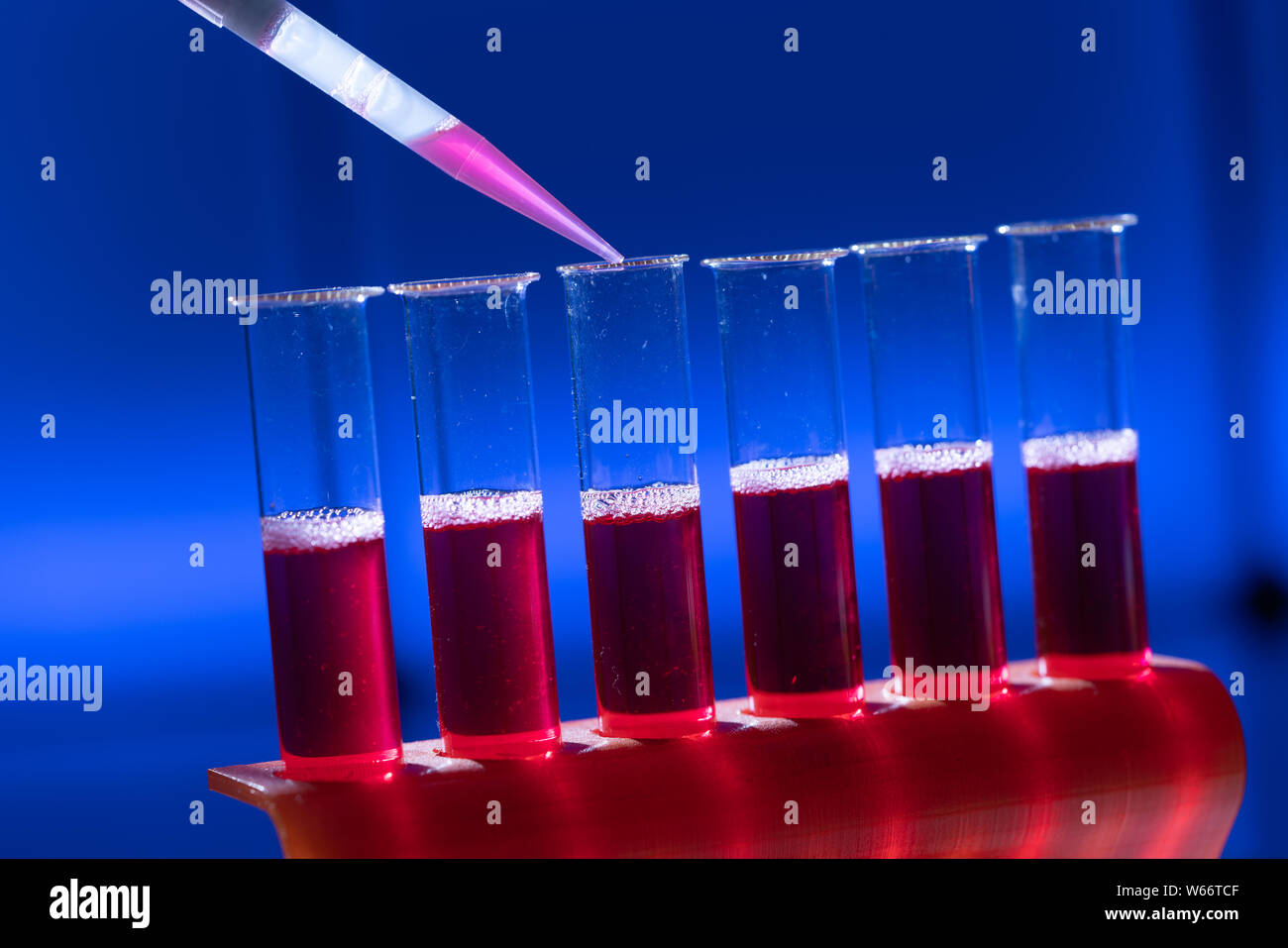 Test tube in rack and pipette media dispenser Stock Photo - Alamy