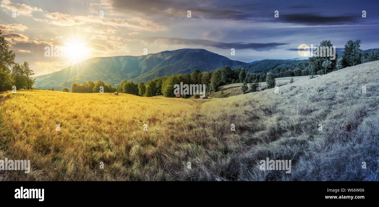 day and night time change in mountains. panorama with beech trees on ...