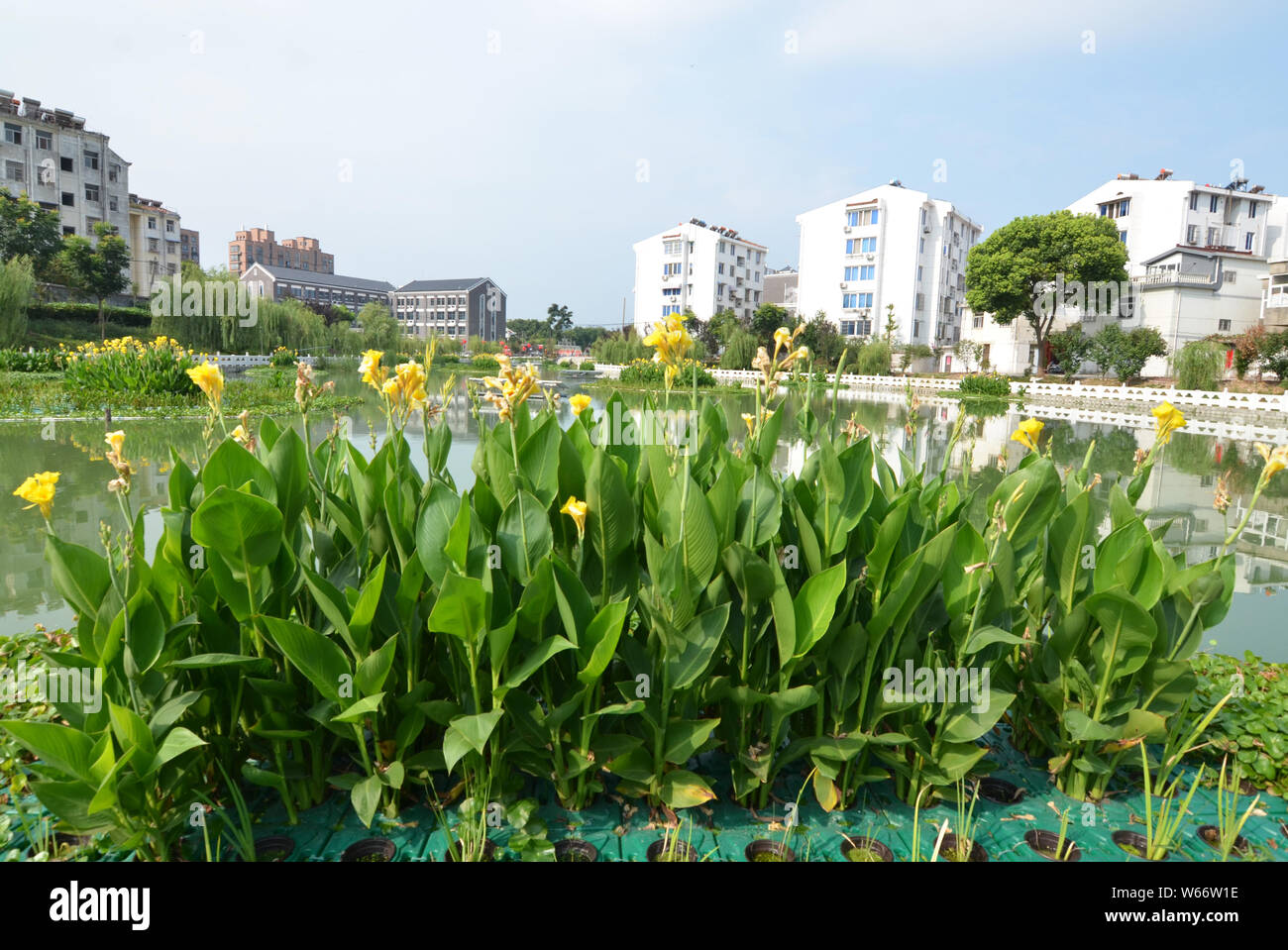 Aerial view of artificial floating islands set in a river for water ...