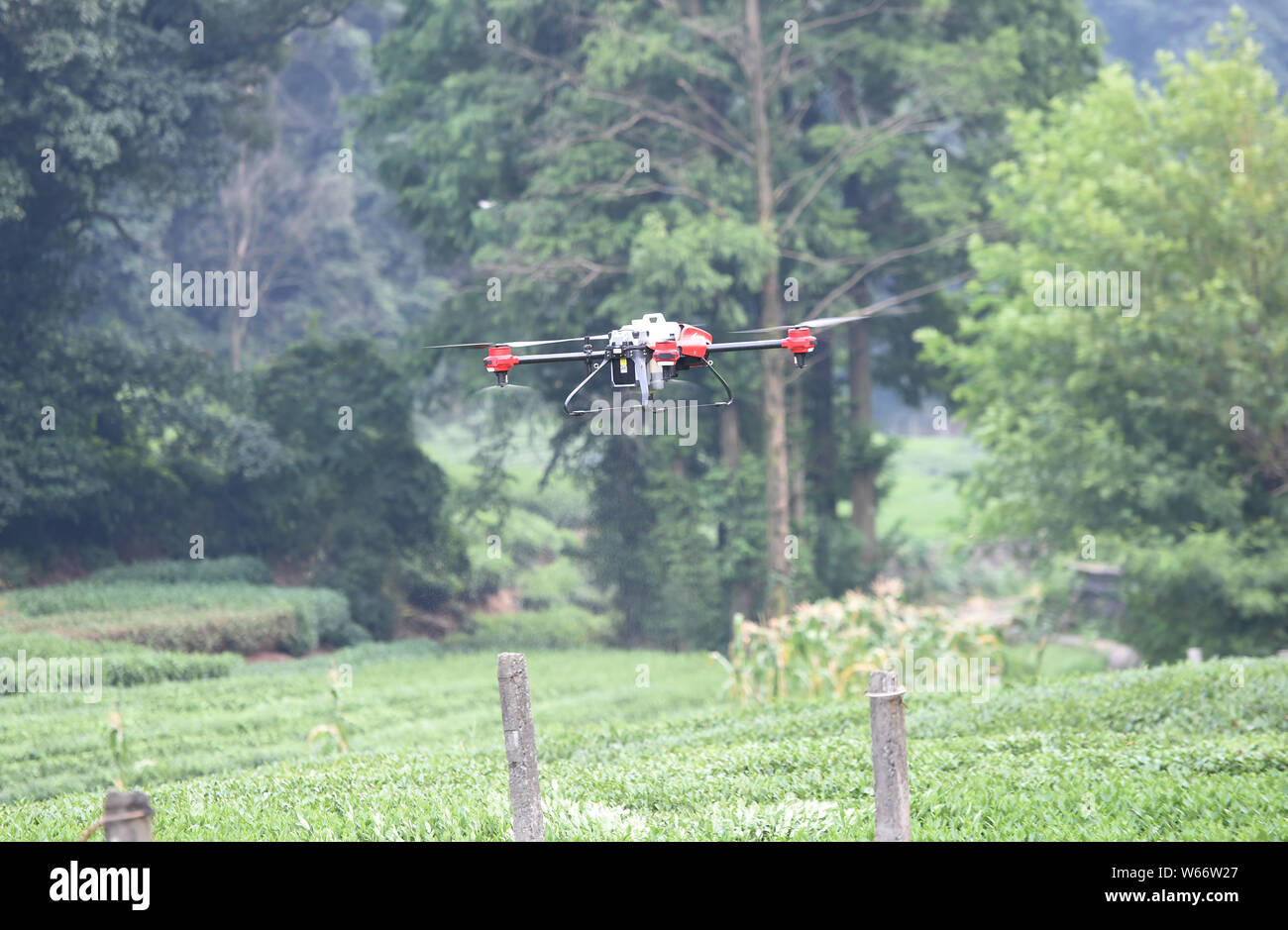 An unmanned aerial vehicle (UAV), or drone, is remote-controlled to ...