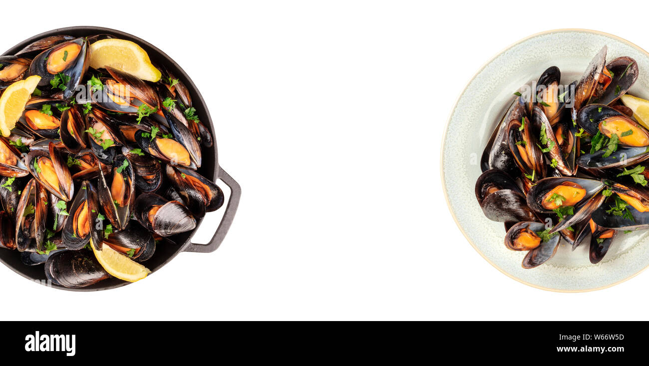 Mussels design. Boiled mussels in a pan and on a plate, isolated on a ...