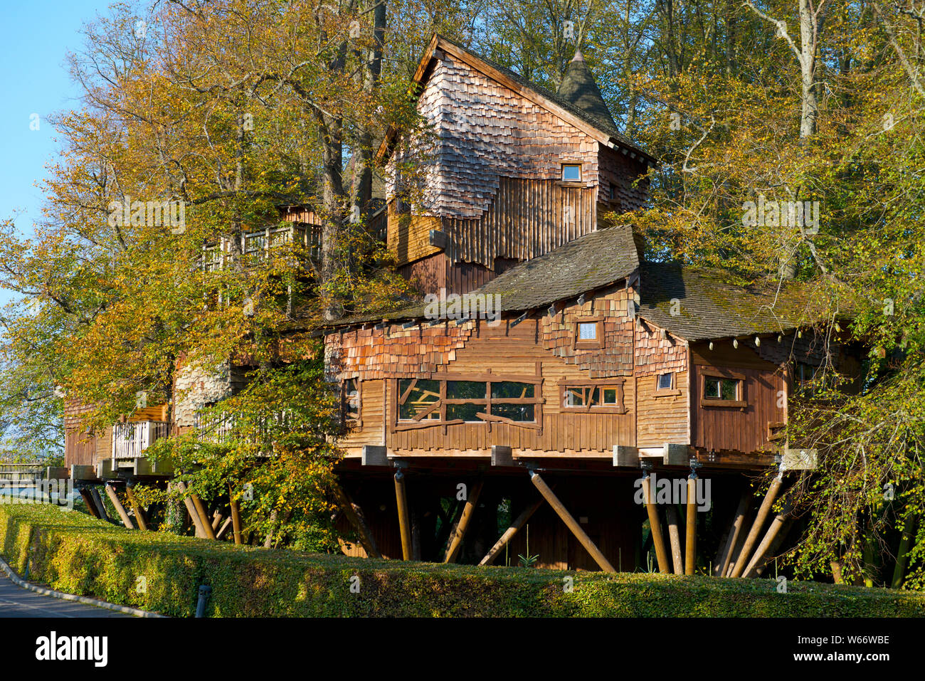 Treehouse built around oak trees Alnwick Castle Northhumberland UK ...