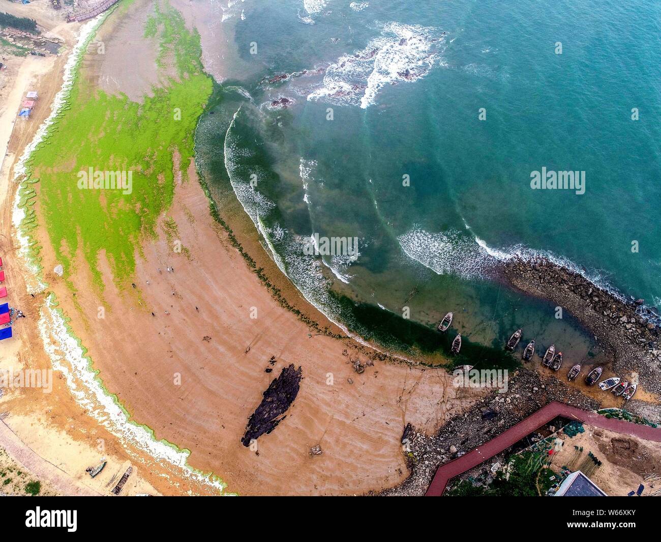 Aerial view of the sea water with blue-green algae bloom along the ...