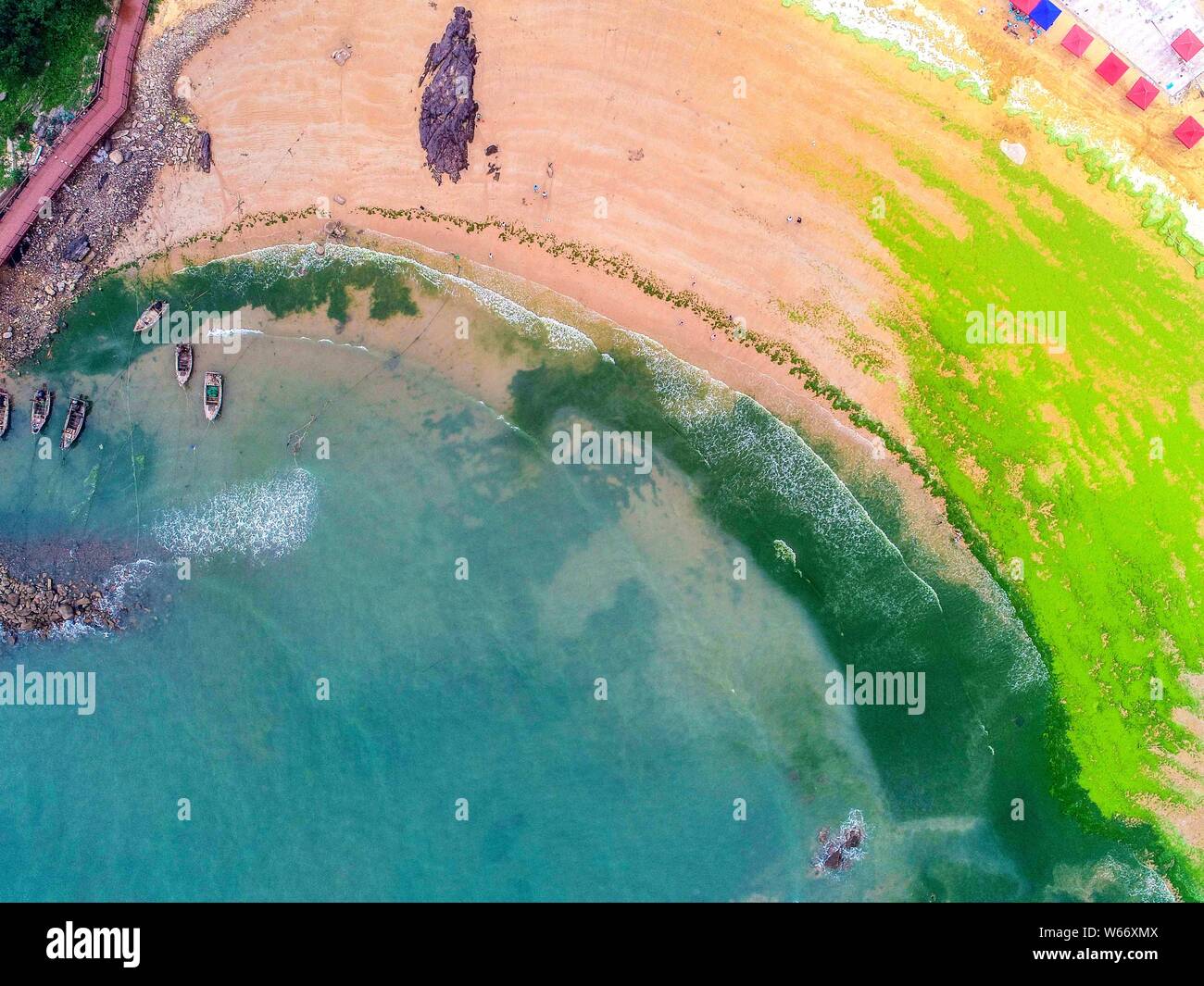Aerial view of the sea water with blue-green algae bloom along the ...