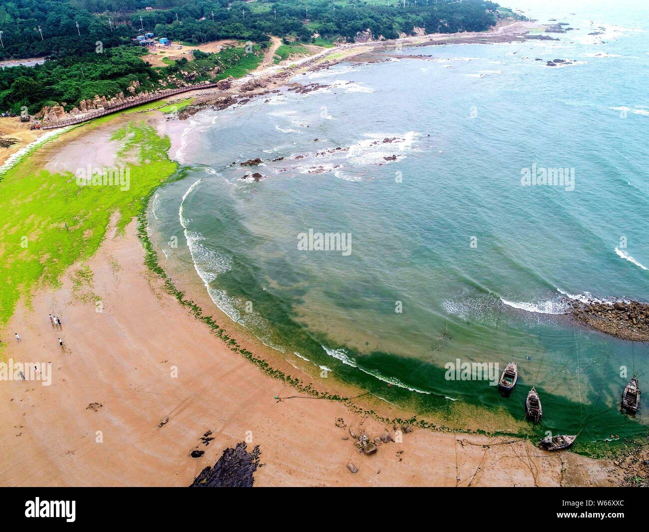 Aerial view of the sea water with blue-green algae bloom along the ...
