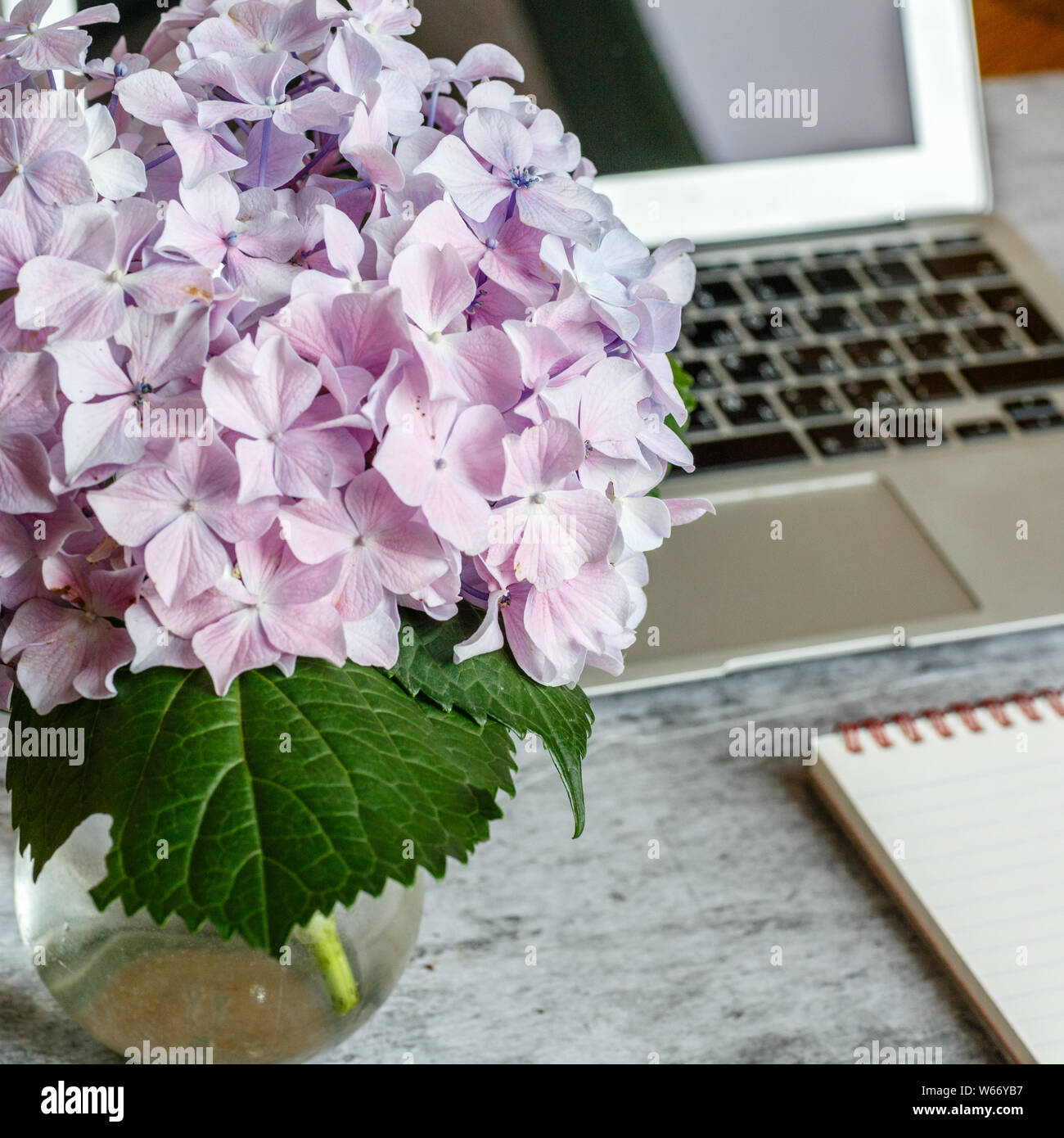 Home office desk workspace with laptop, hydrangea flowers bouquet ...
