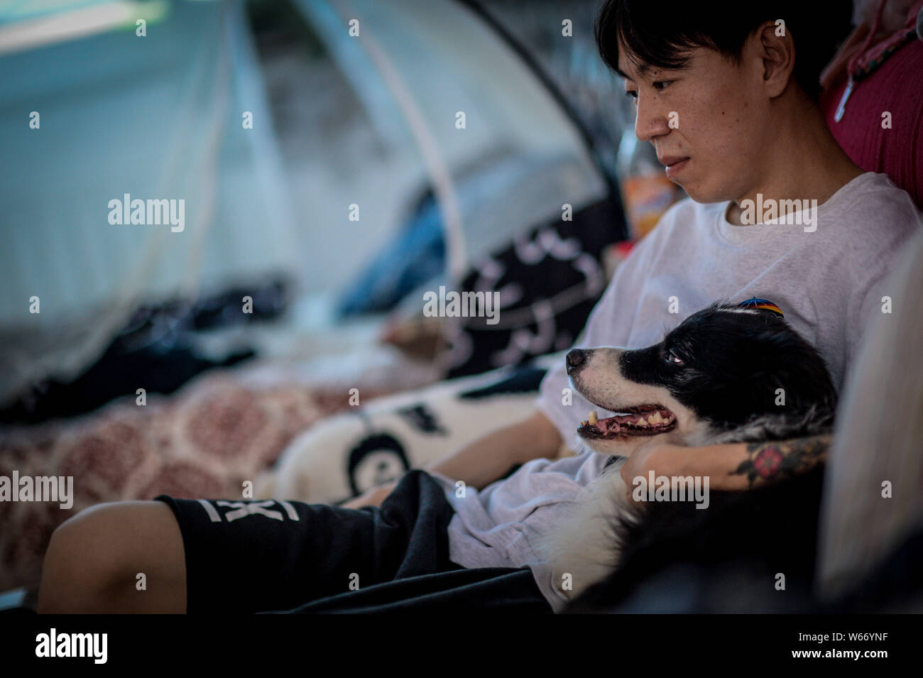 Chinese post-80s man is pictured with his Border Collie named "Cera" at ...