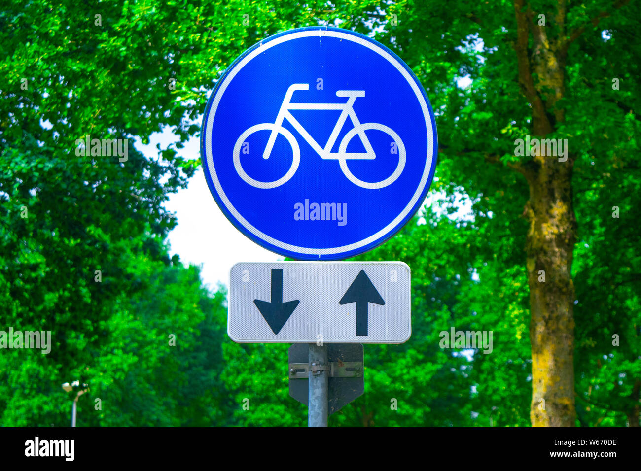 Dutch road sign: Compulsory bike path, cyclists can cycle in from both ...