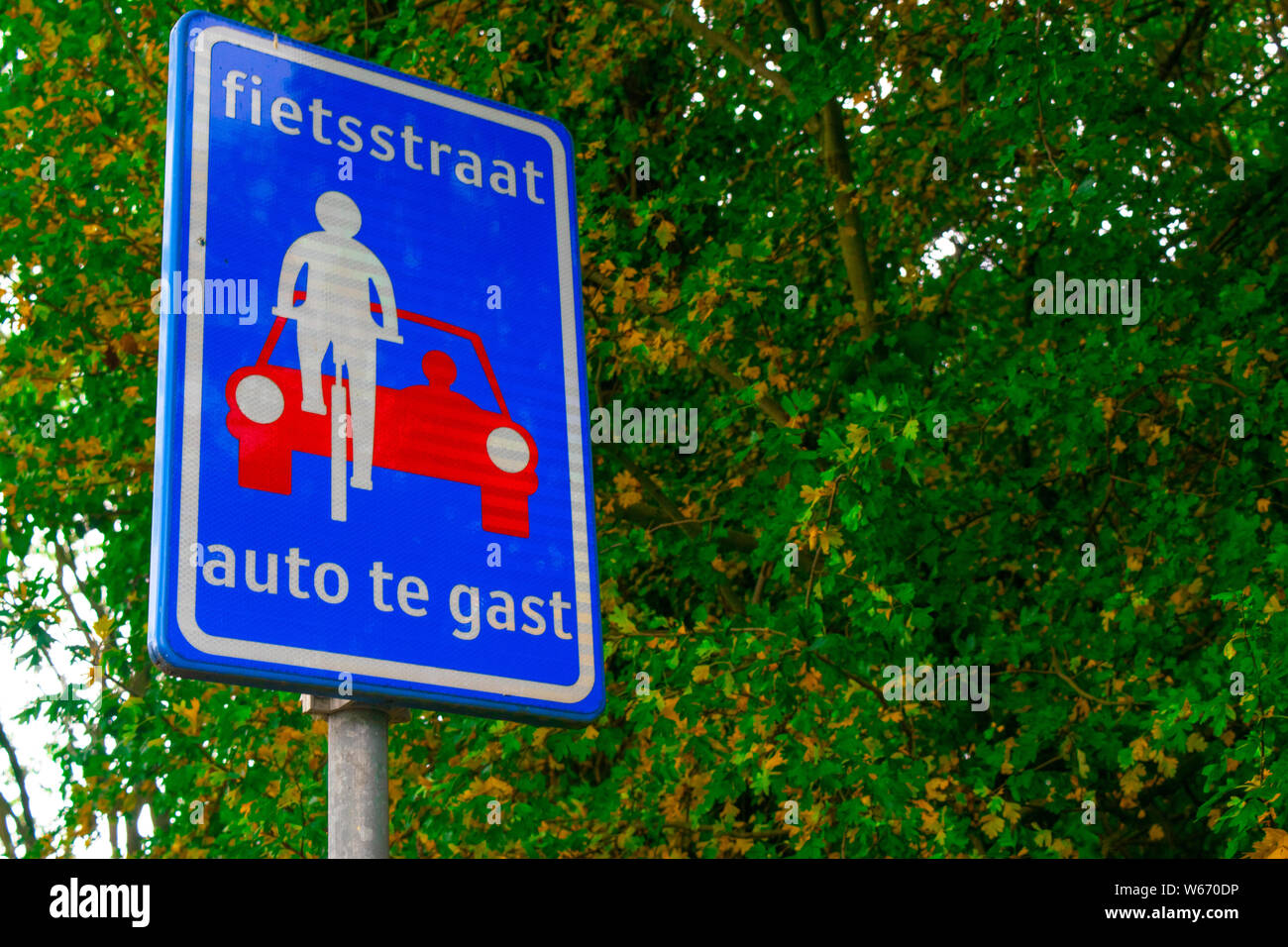 Dutch road sign: bicycle street Stock Photo - Alamy