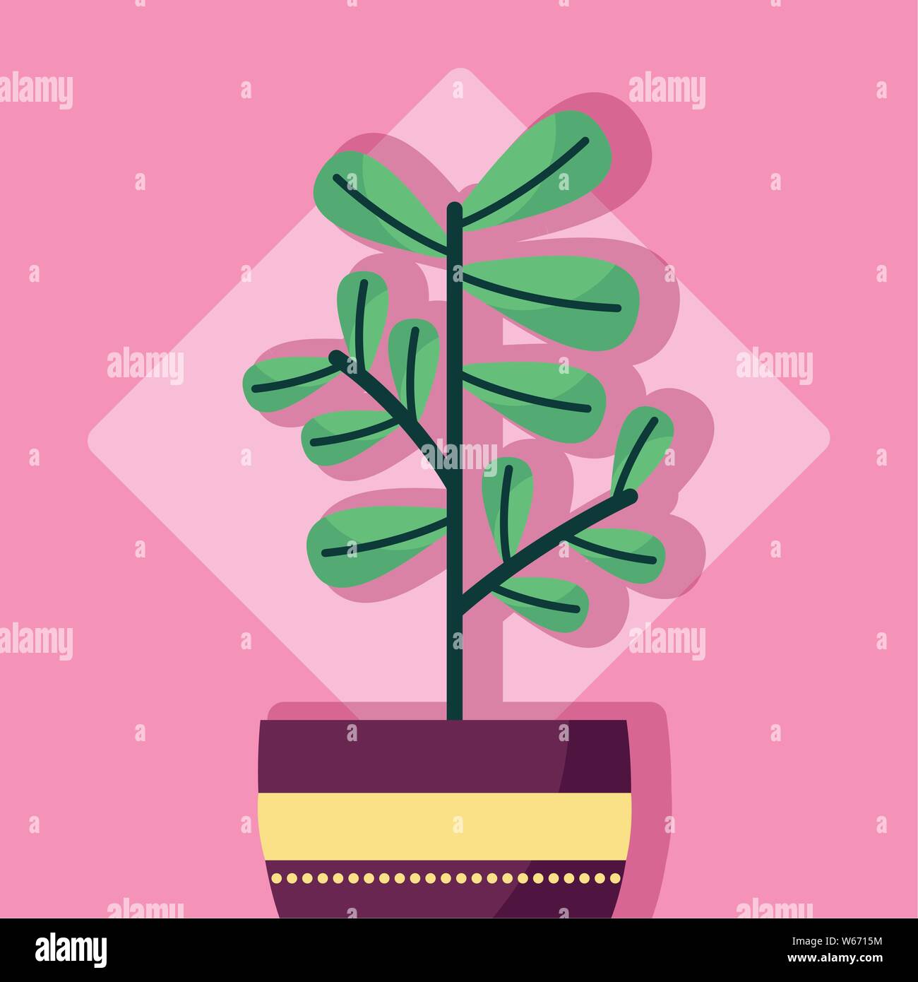 decorative plants flat image design Stock Vector Image & Art - Alamy