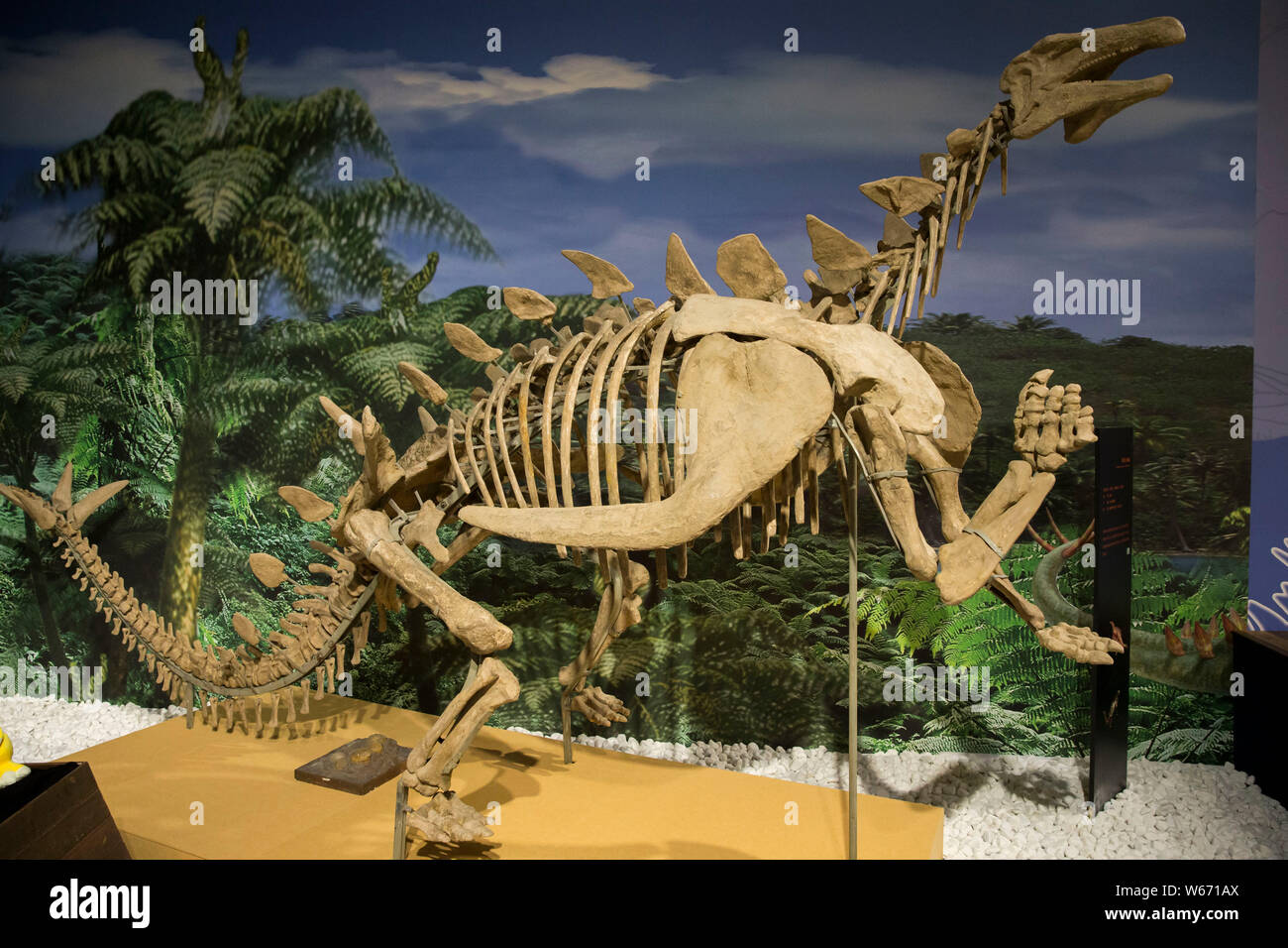 View of a dinosaur model on display at the Jurassic World exhibition ...