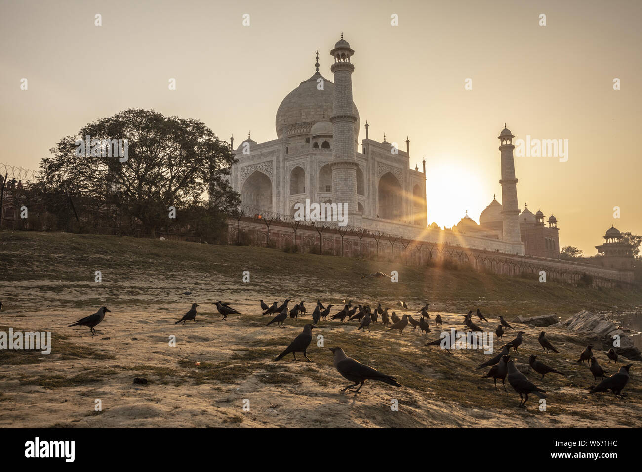 Taj Mahal and the Yamuna River in Agra, Uttar Pradesh, India Stock ...