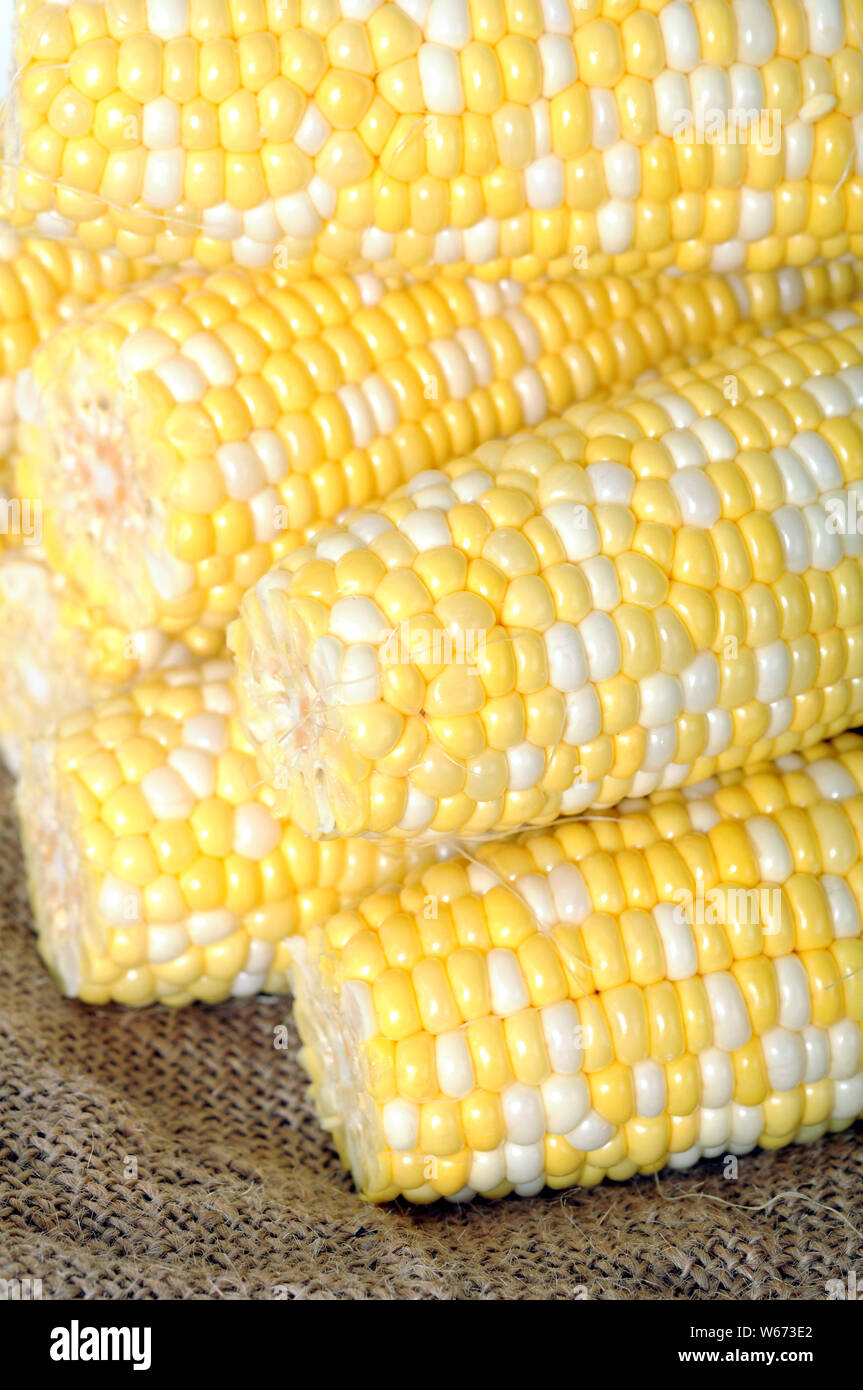 fresh sweet corn display at market place Stock Photo - Alamy