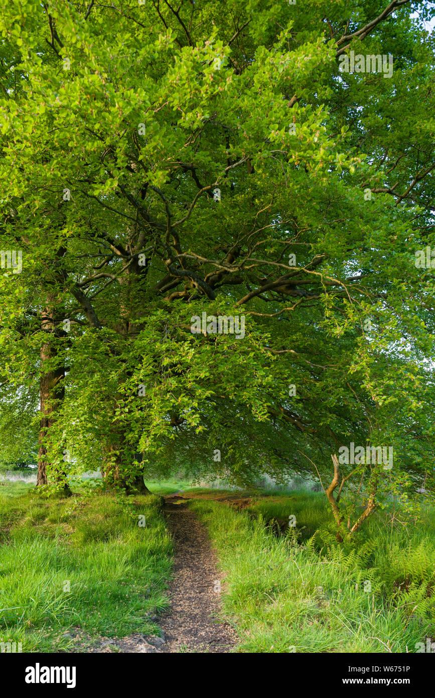 Priddy Mineries in the Mendip Hills National Landscape, Somerset ...