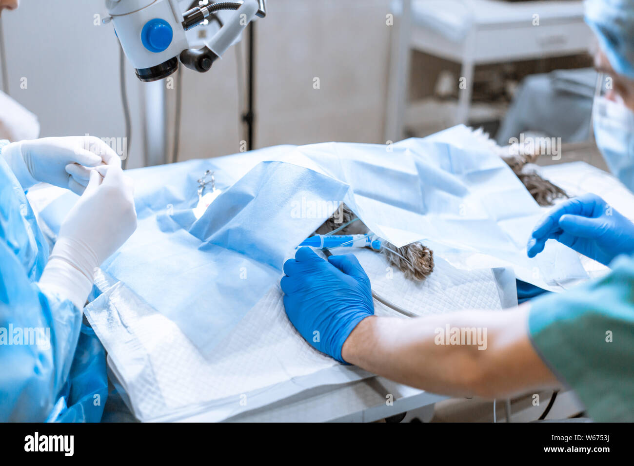 A professional ophthalmologist performs eye surgery with a microscope ...