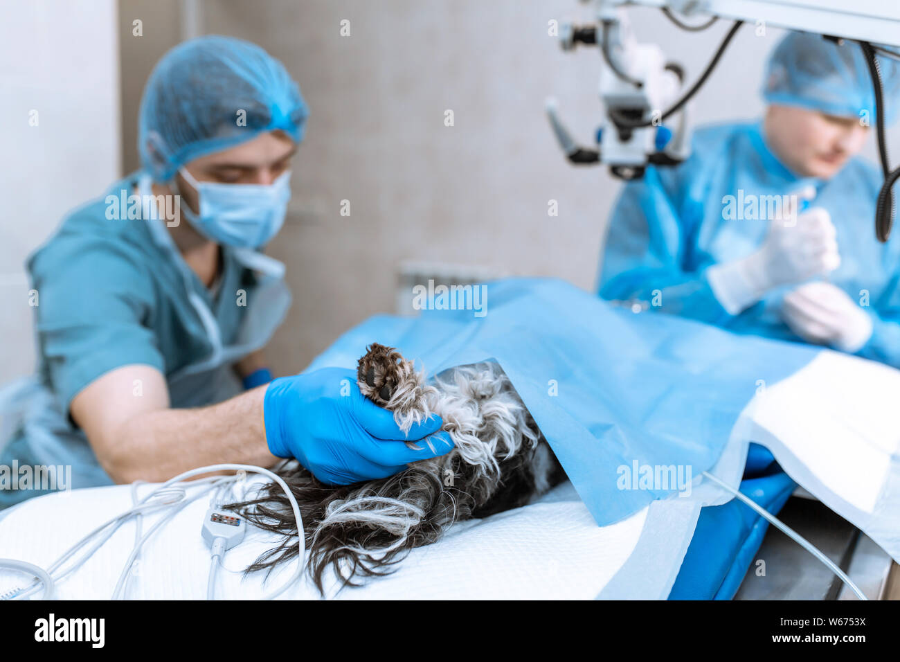 A professional ophthalmologist performs eye surgery with a microscope ...