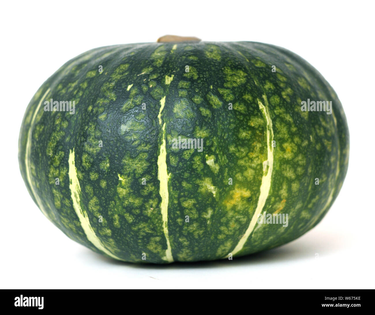 single green kabocha squash on white background Stock Photo - Alamy