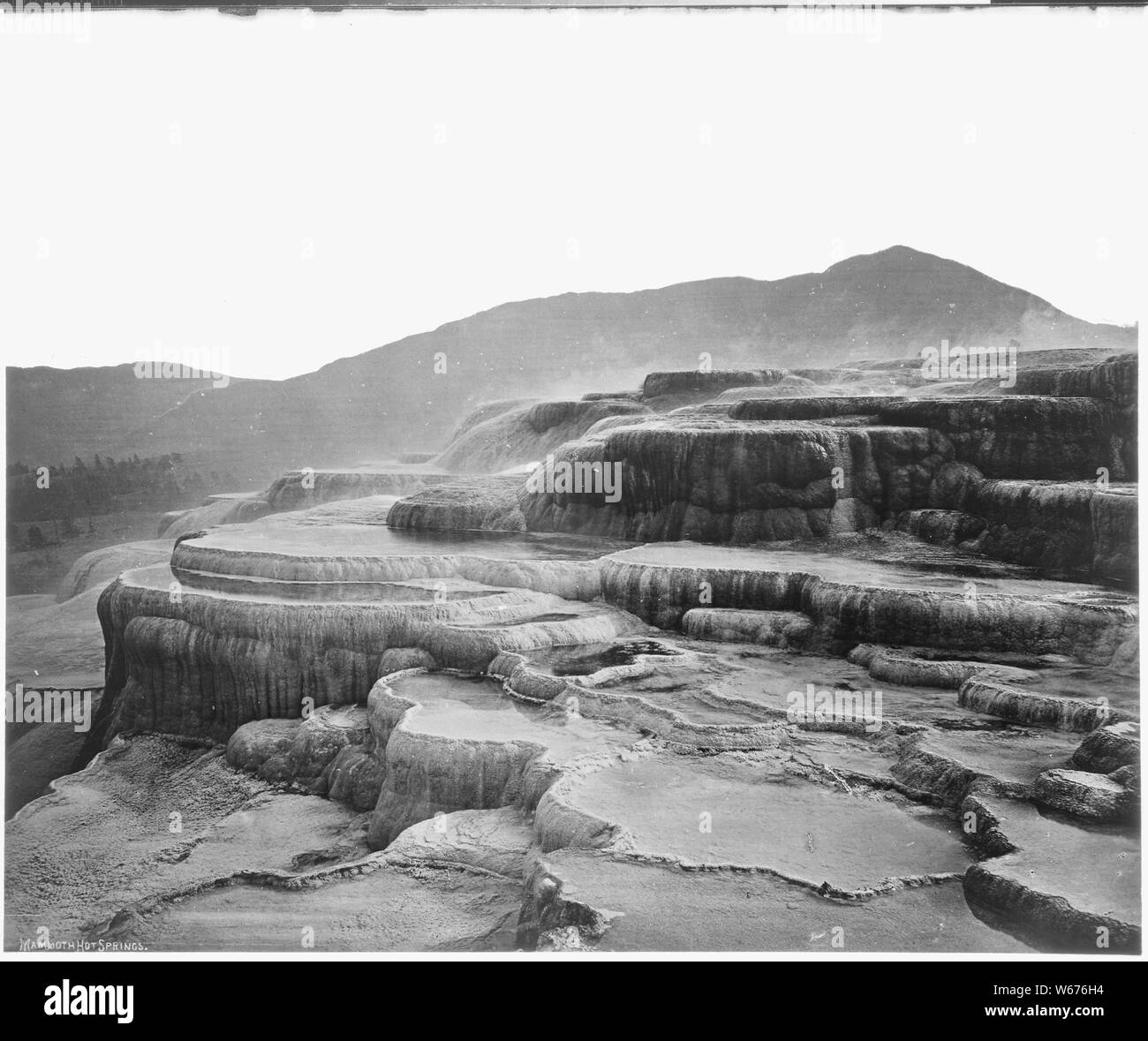 Mammoth Hot Springs, summit of Jupiter Terrace, looking north ...