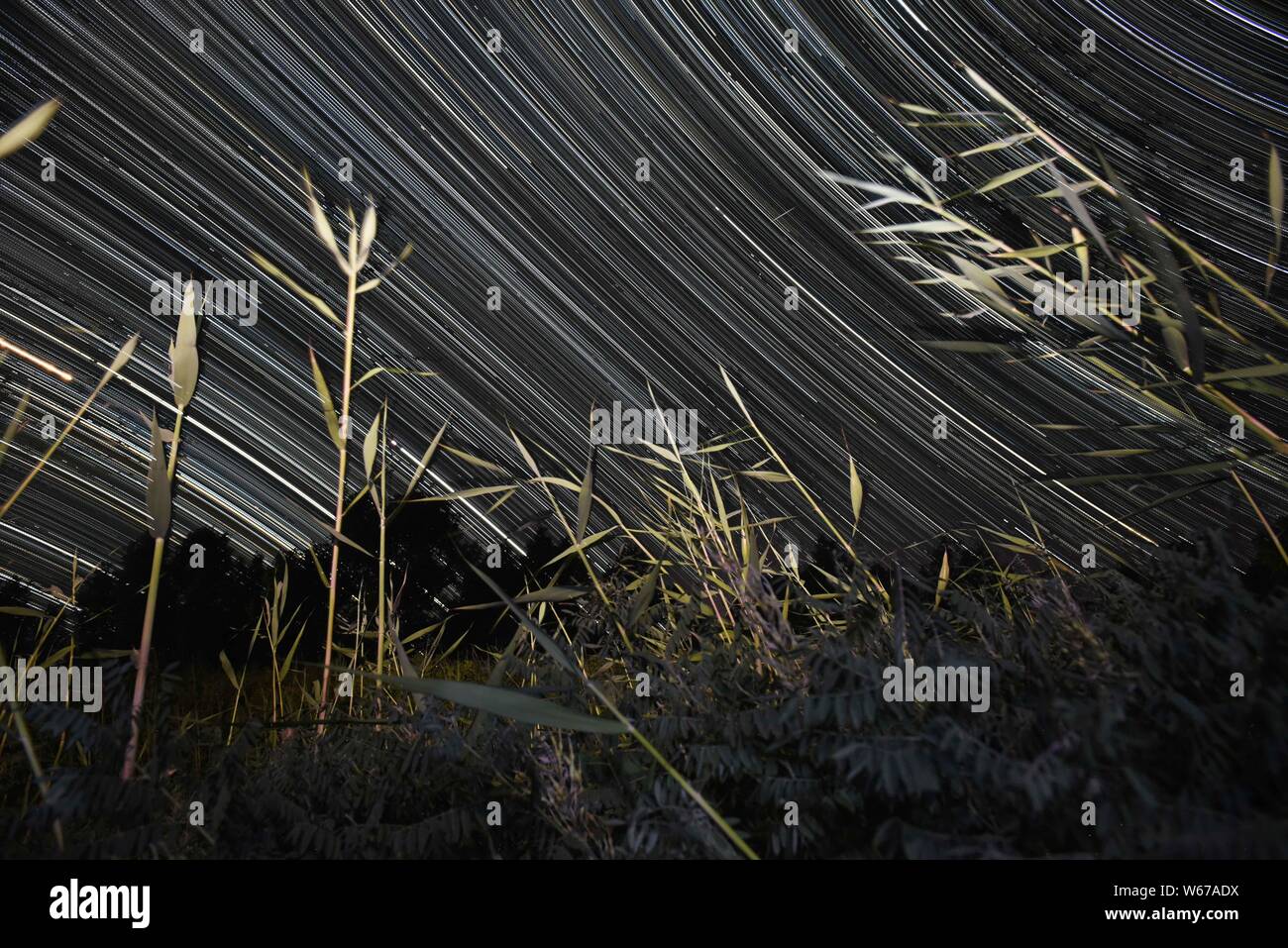 Landscape of the starry sky above the Taklamakan Desert in Luntai ...