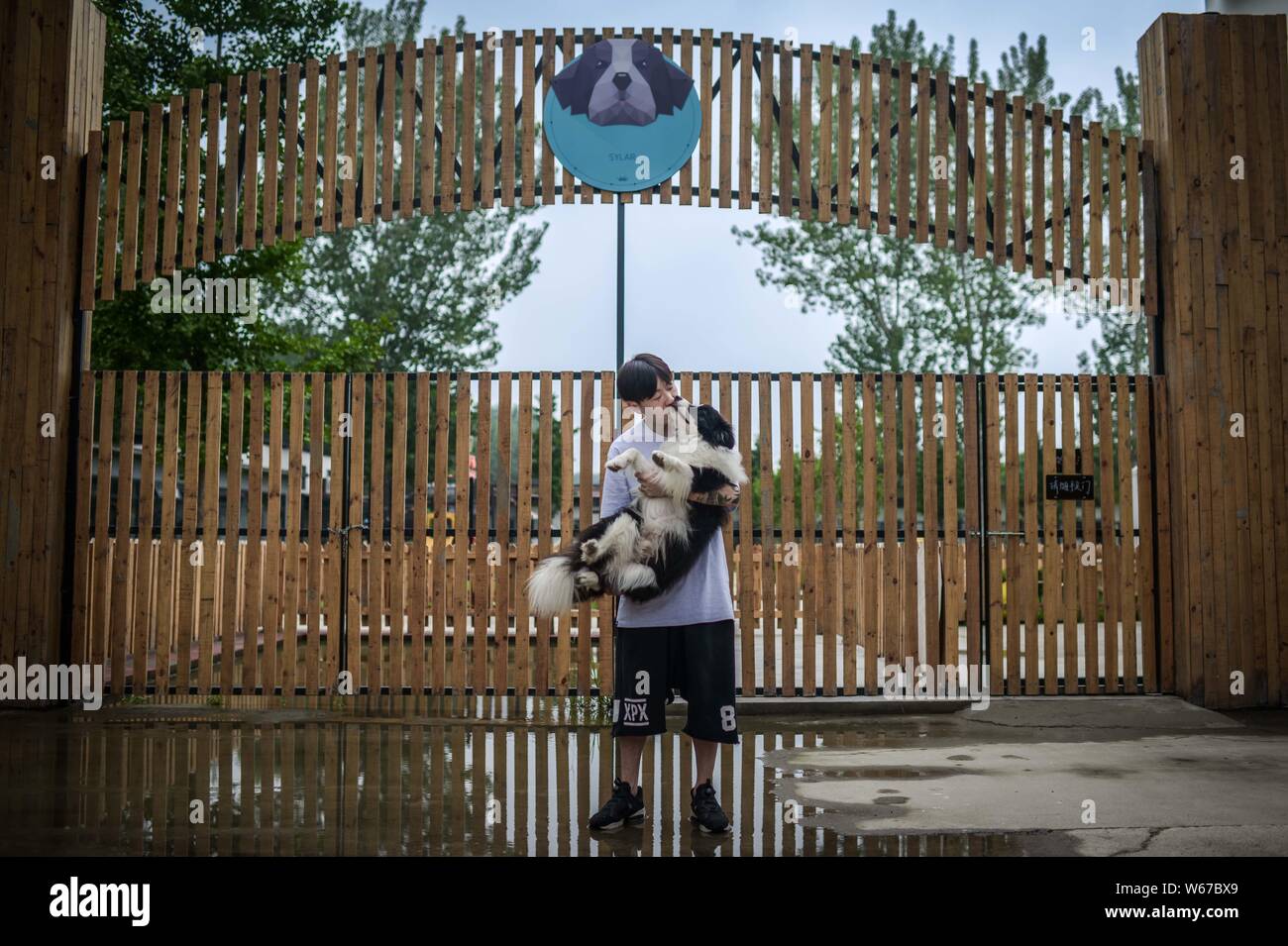Chinese post-80s man is pictured with his Border Collie named "Cera" at ...