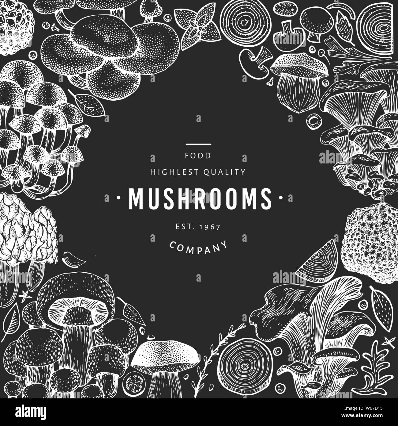 Mushroom design template. Hand drawn vector food illustration on chalk ...