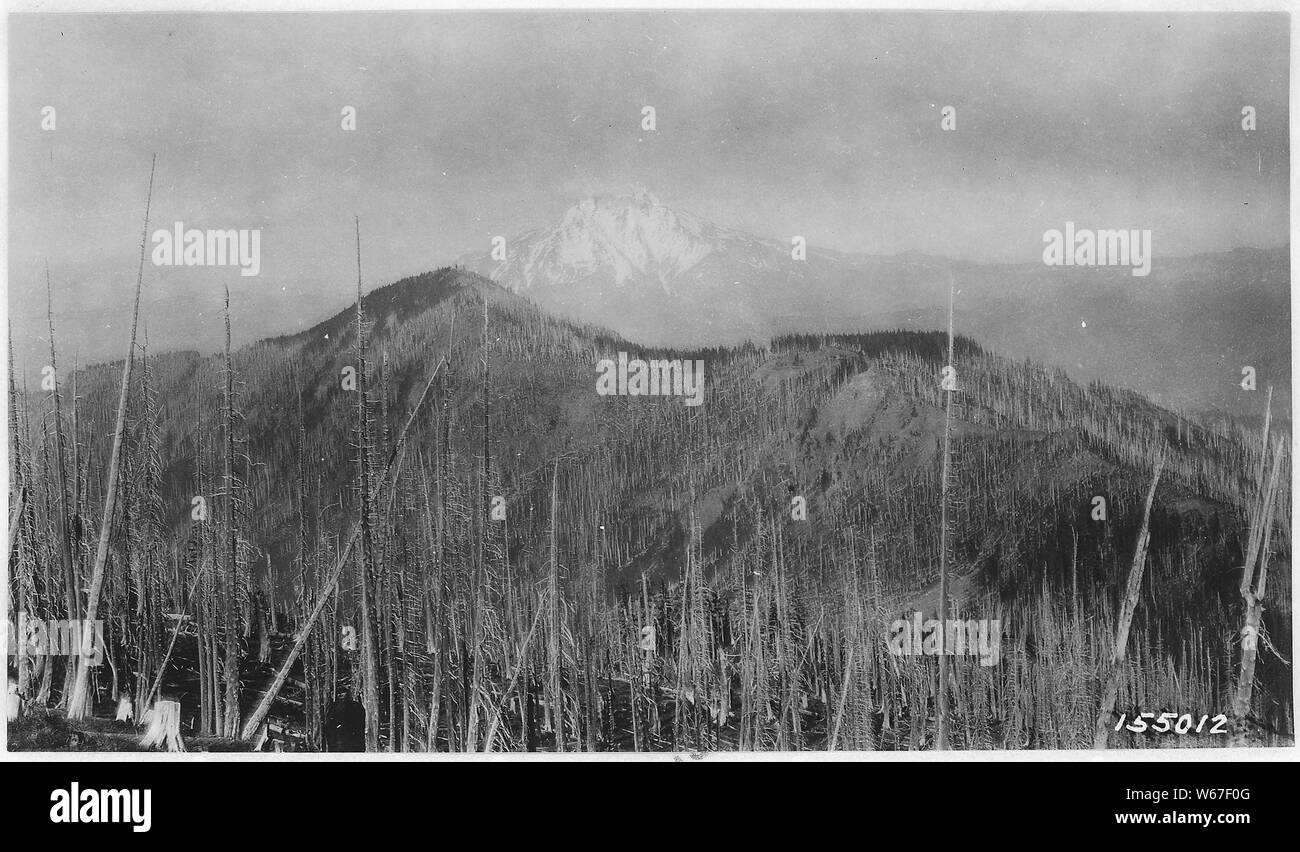 Mount Jefferson from Coffin Mountain Lookout, Santiam Forest, 1920 ...