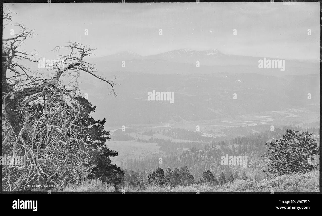 Mount Leidy, Buffalo Fork. Lincoln County, Wyoming Stock Photo - Alamy