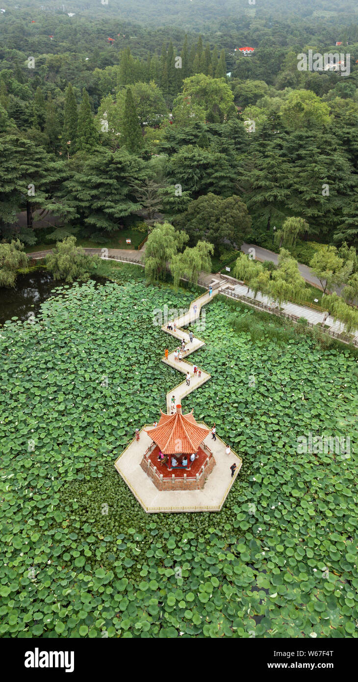An aerial view of a pavilion surrounded by lotus leaves in a lotus pond ...