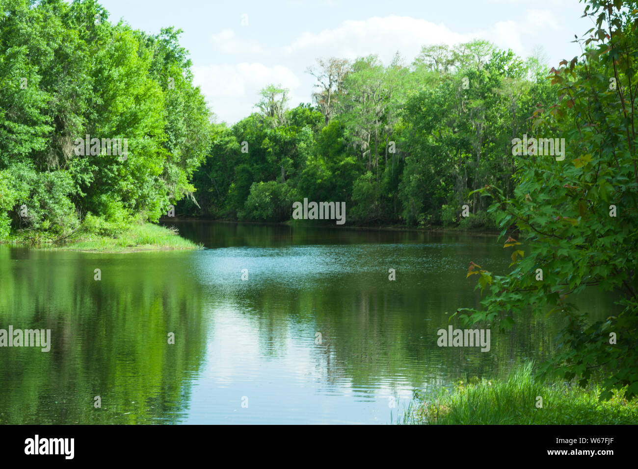 Florida scenic nature hi-res stock photography and images - Alamy