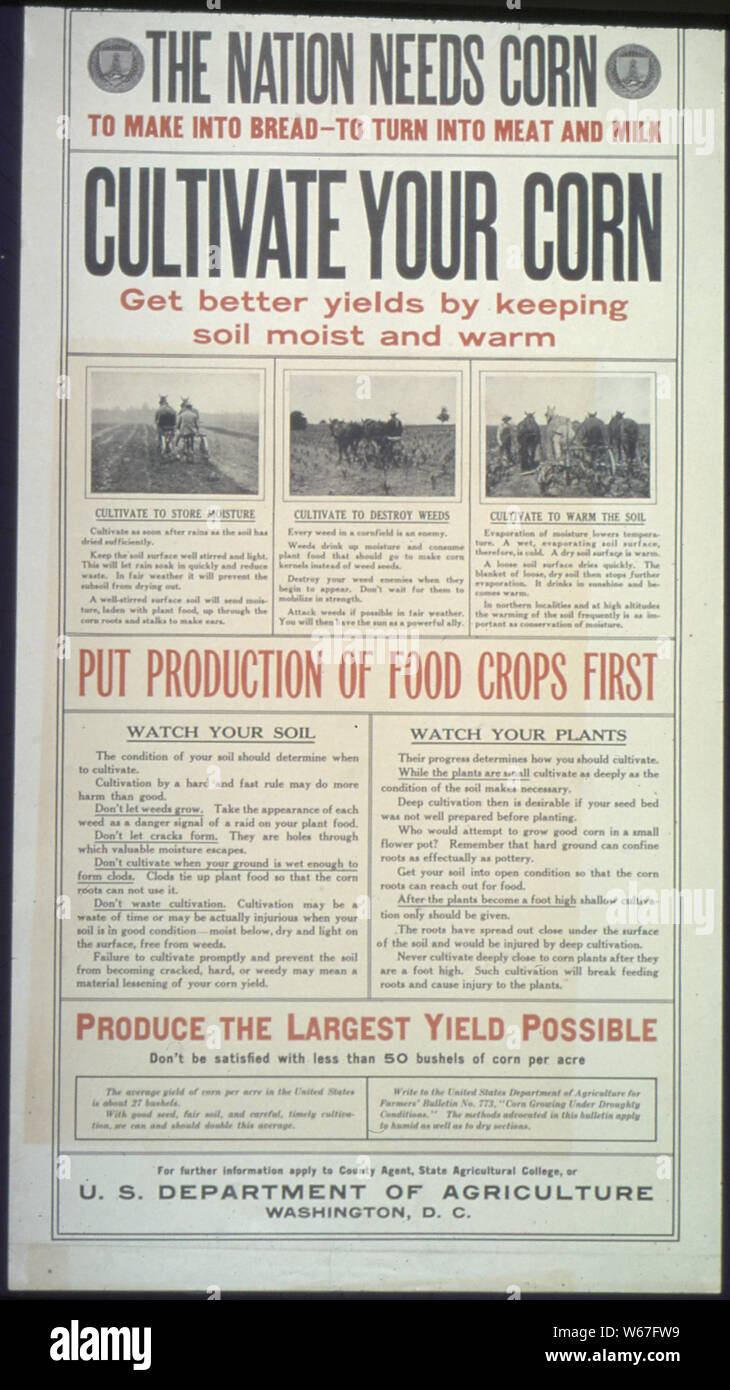 Nation Needs Corn...Cultivate Your Corn...Put Production of Food Crops ...