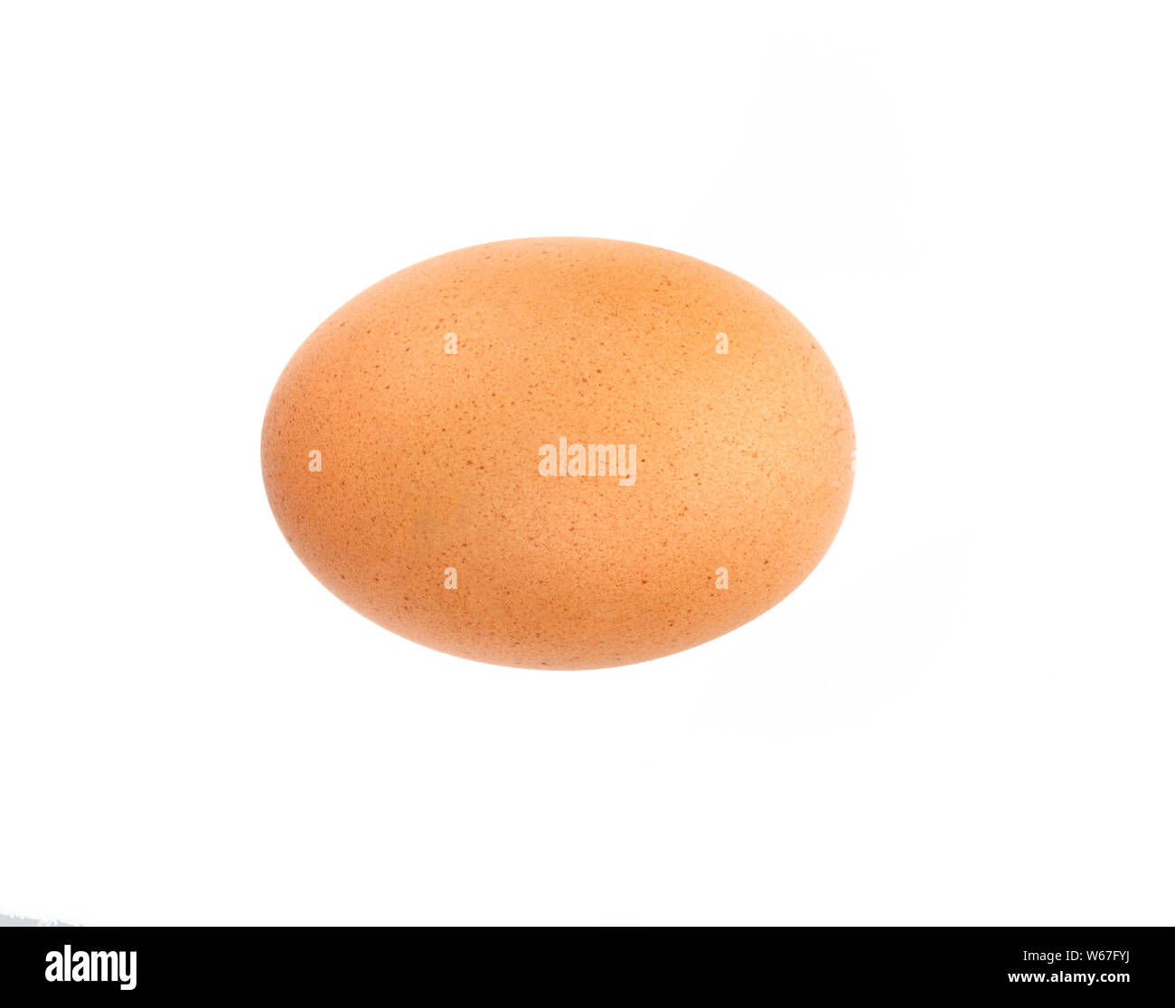 egg in white background Stock Photo - Alamy