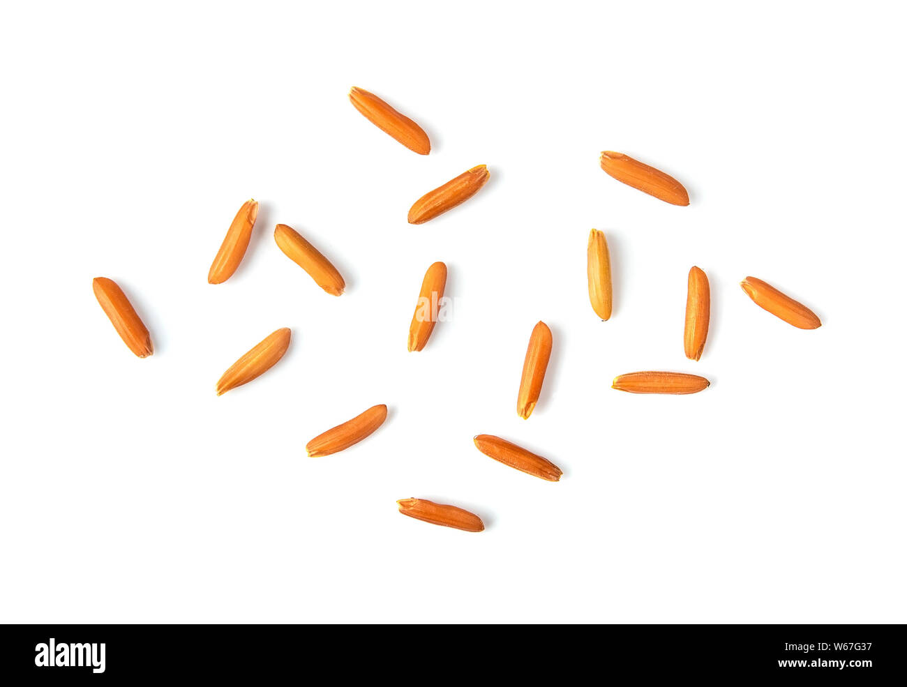 Pile of brown rice isolated on white background. Top view Stock Photo ...