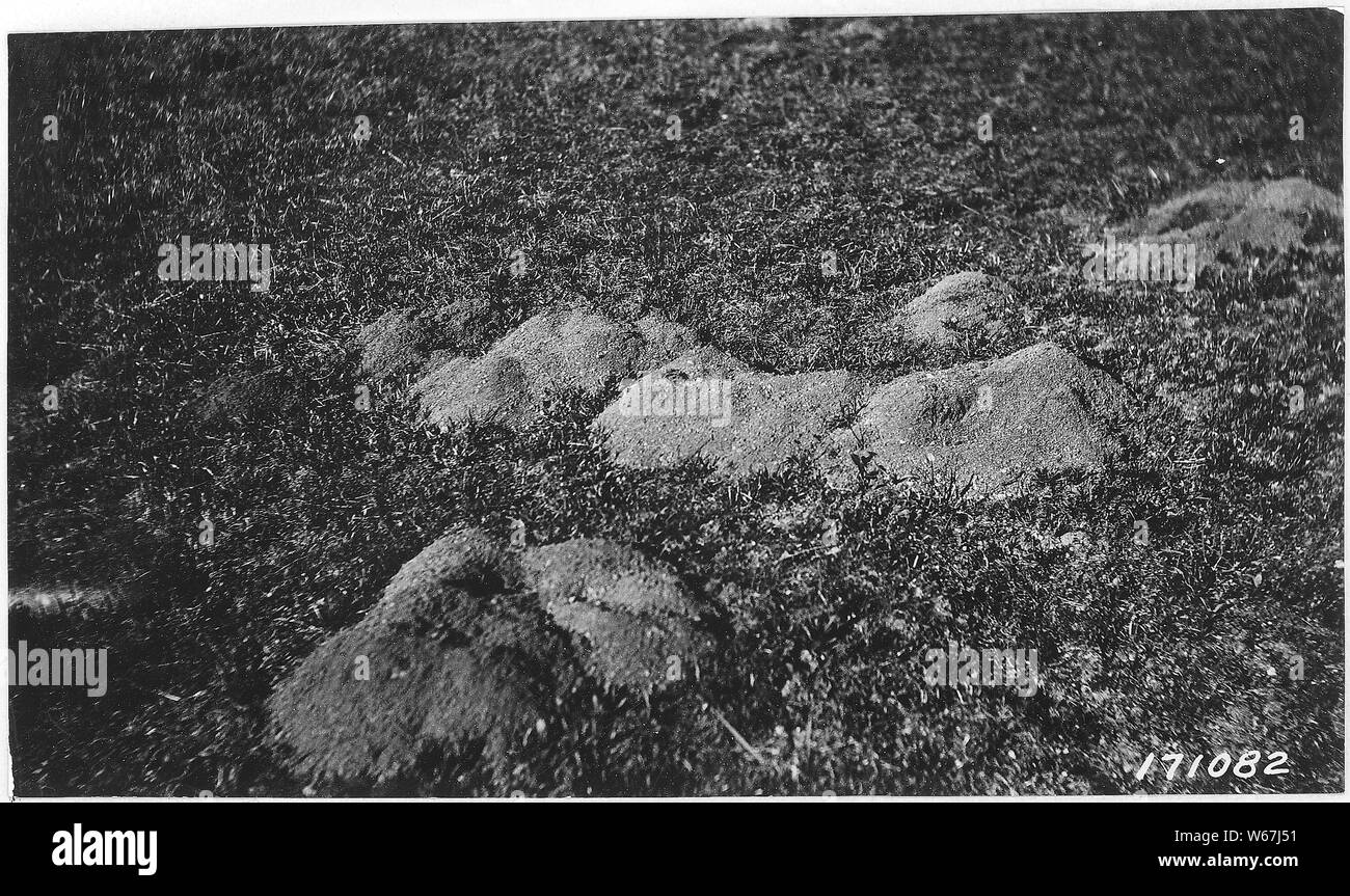 New gopher mounds on flat meadow range hi-res stock photography and ...