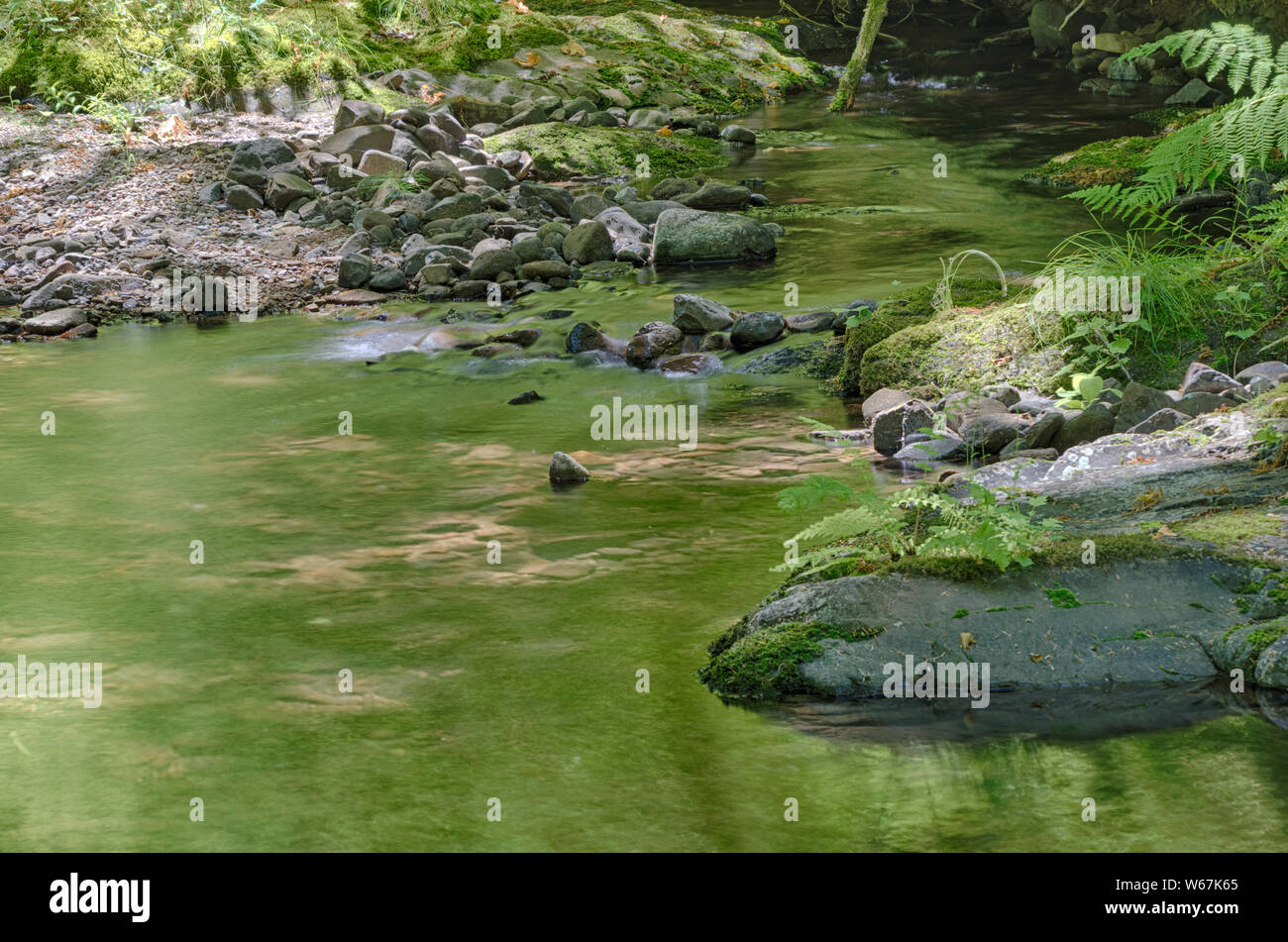 Calapooya hi-res stock photography and images - Alamy
