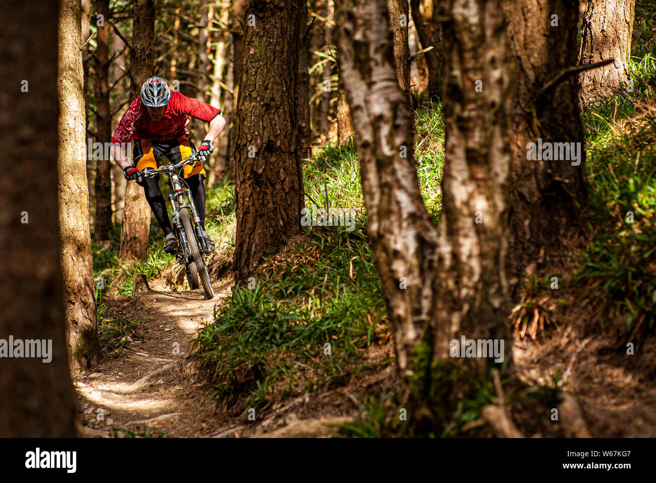 Cycling trail ireland hi-res stock photography and images - Alamy