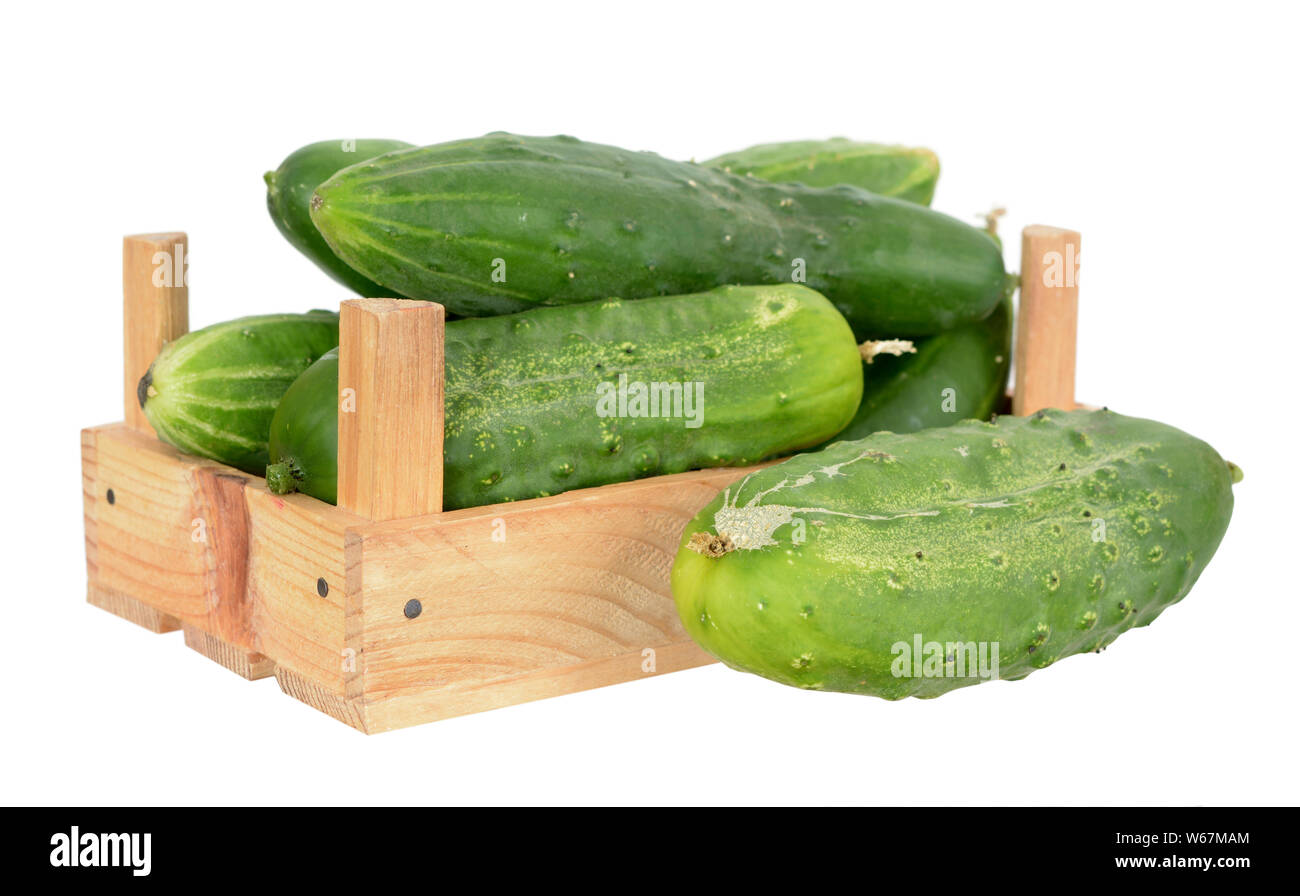 a group organic cucumbers in wooden crate isolated on white Stock Photo ...