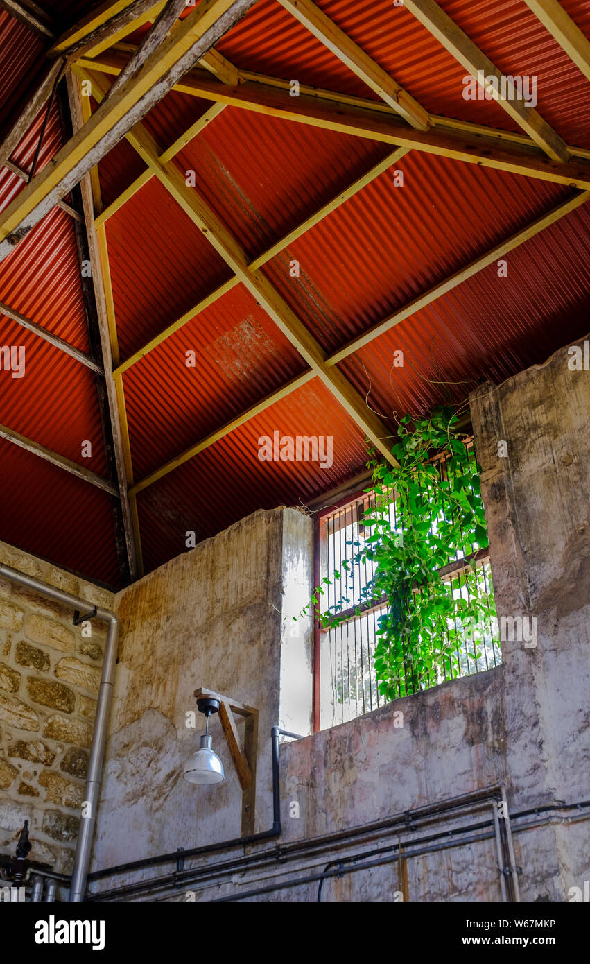 Details from the grounds and tour at St Nicholas Abbey, an artisanal ...