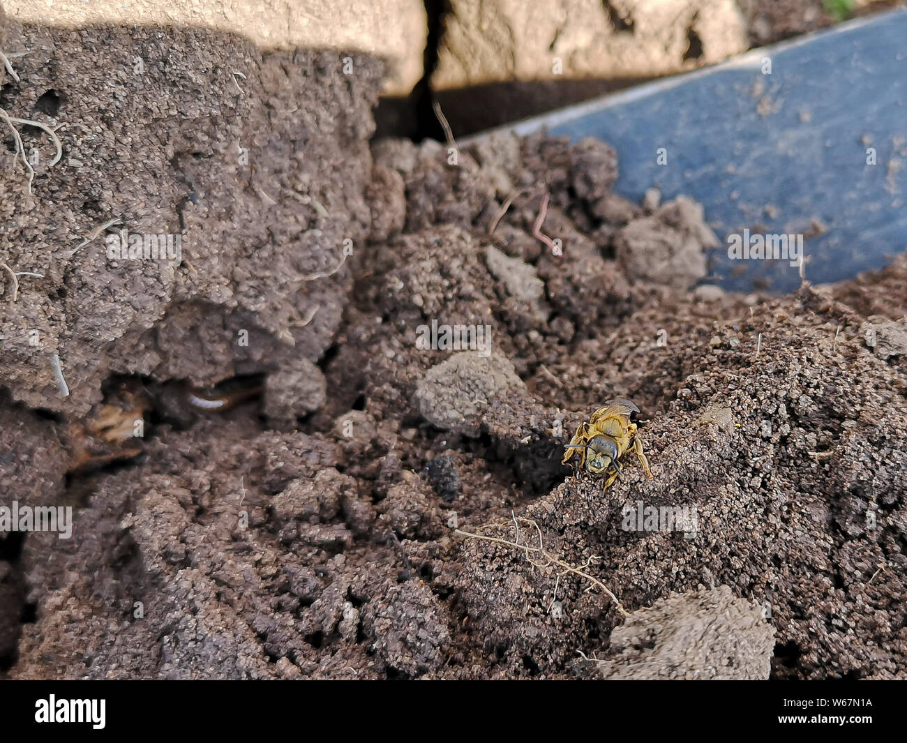 Destroyed digging hi-res stock photography and images - Alamy