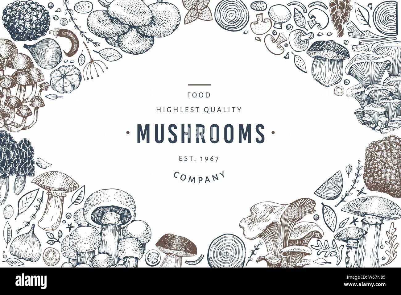 Mushroom design template. Hand drawn vector food illustration. Engraved ...