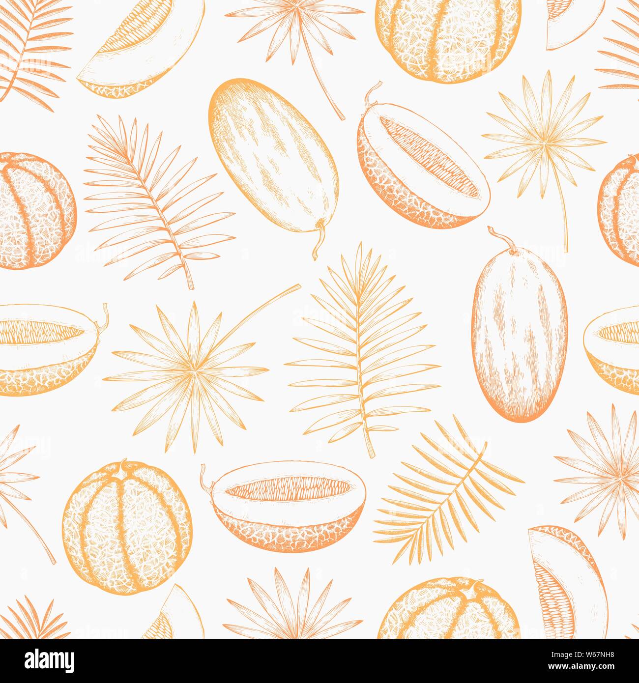 Melon and tropical leaves seamless pattern. Hand drawn vector exotic ...