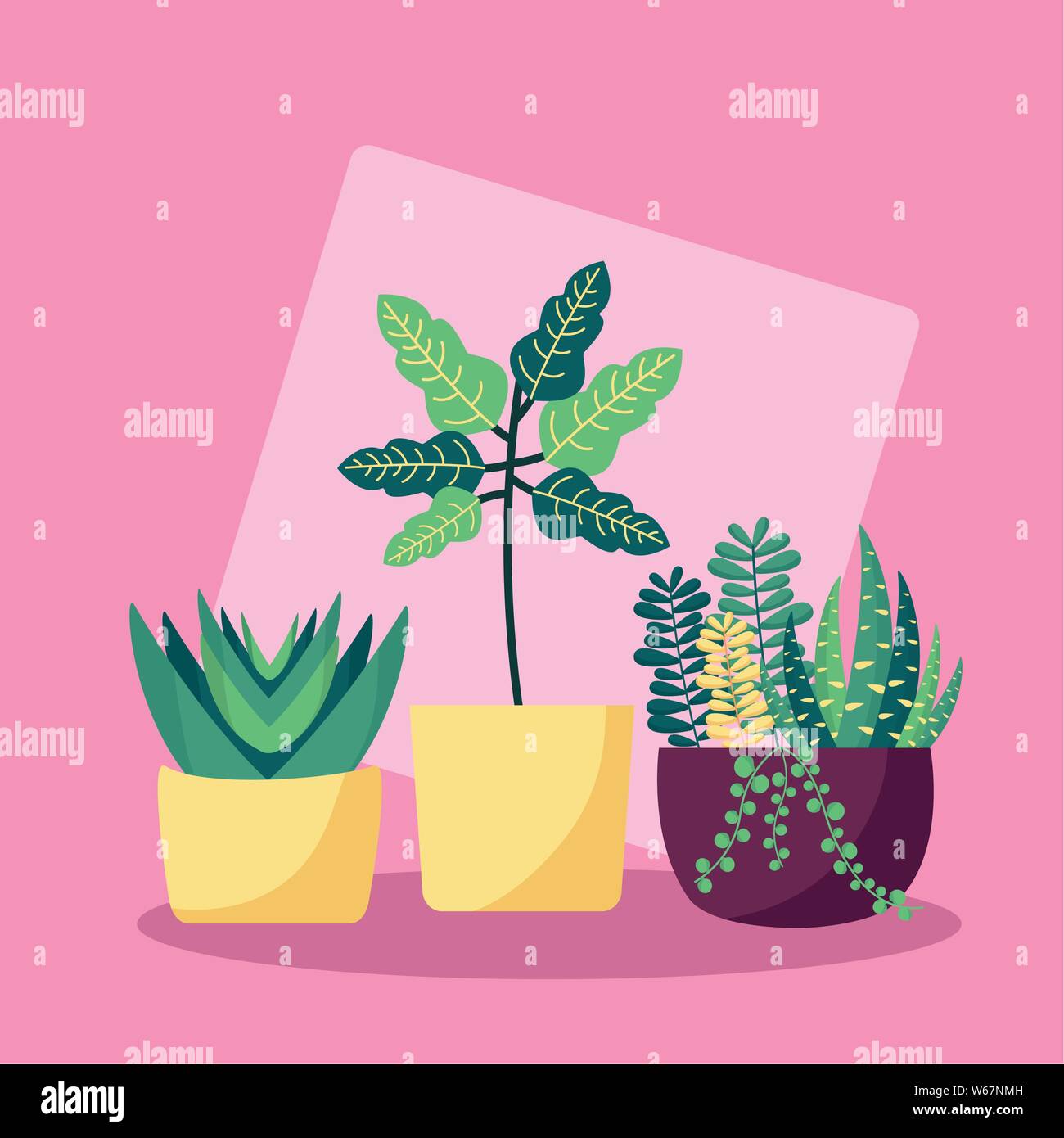 decorative plants flat image design Stock Vector Image & Art - Alamy