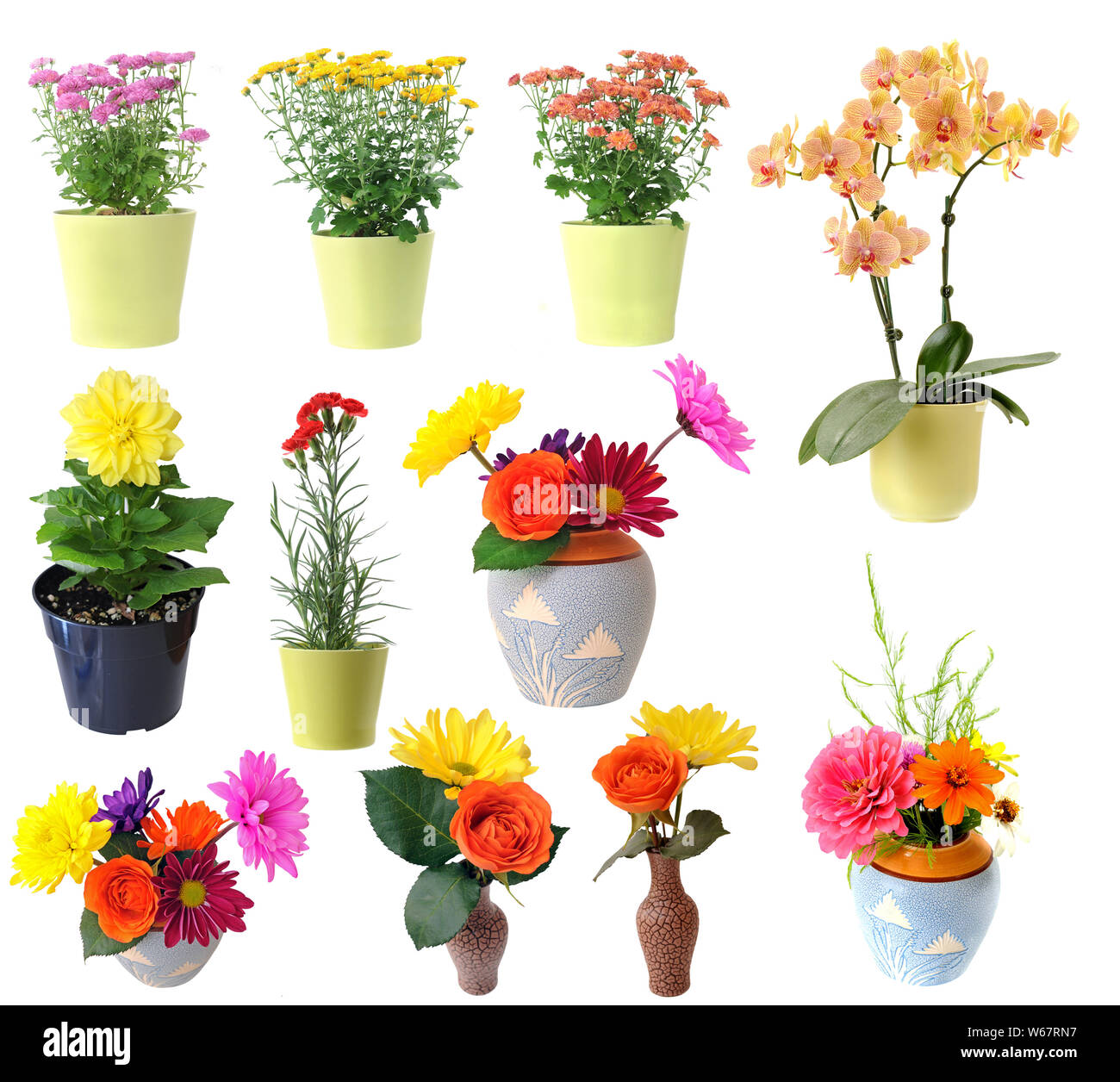 mix flowers in vases isolated on white Stock Photo - Alamy