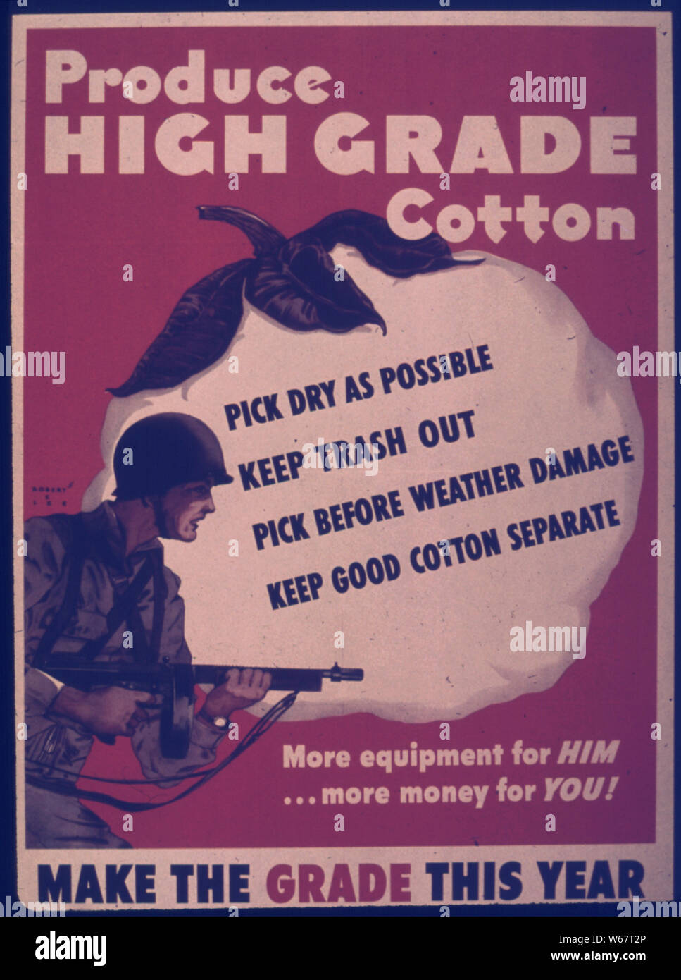 Cotton grade hi-res stock photography and images - Alamy