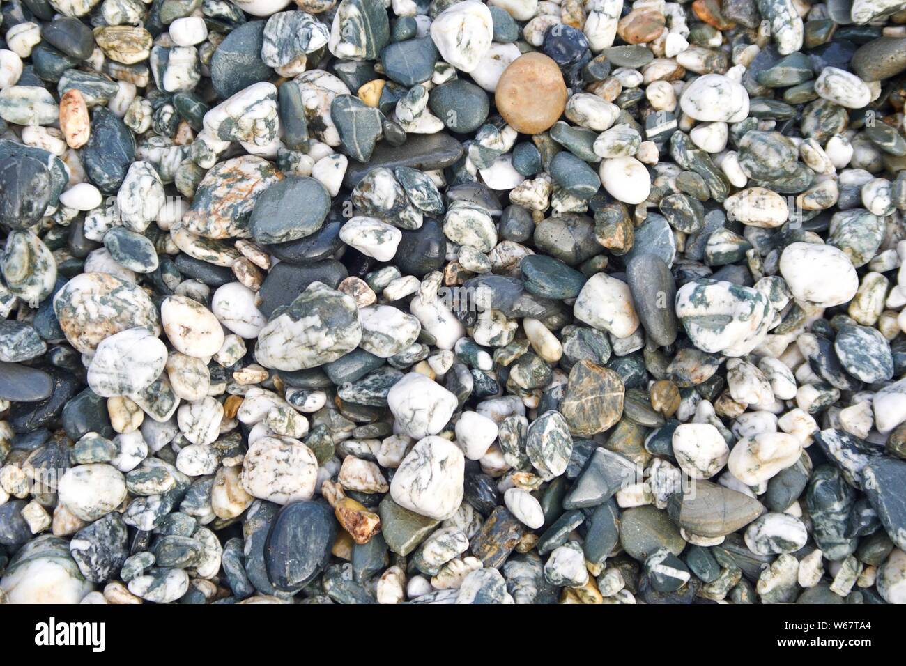 Natural Background of Wet Rounded Quartz and Metamorphic Grey Pebbles ...