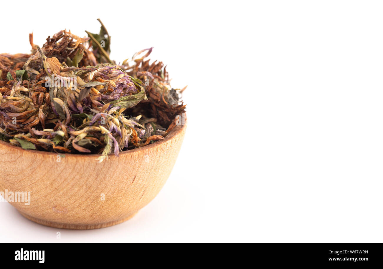 Dried Red Clover Flowers and Leaves Isolated on a White Background ...