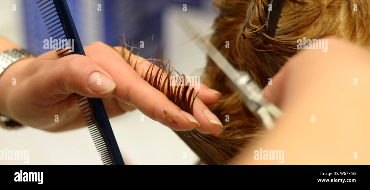 Customer haircut cutting hair hi-res stock photography and images - Alamy