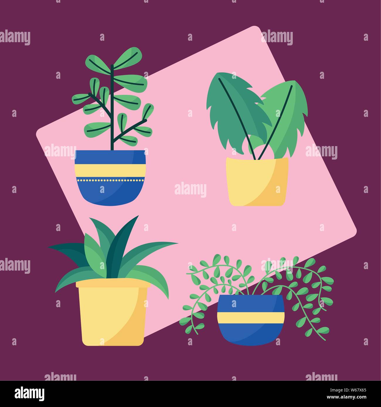 decorative plants flat image design Stock Vector Image & Art - Alamy
